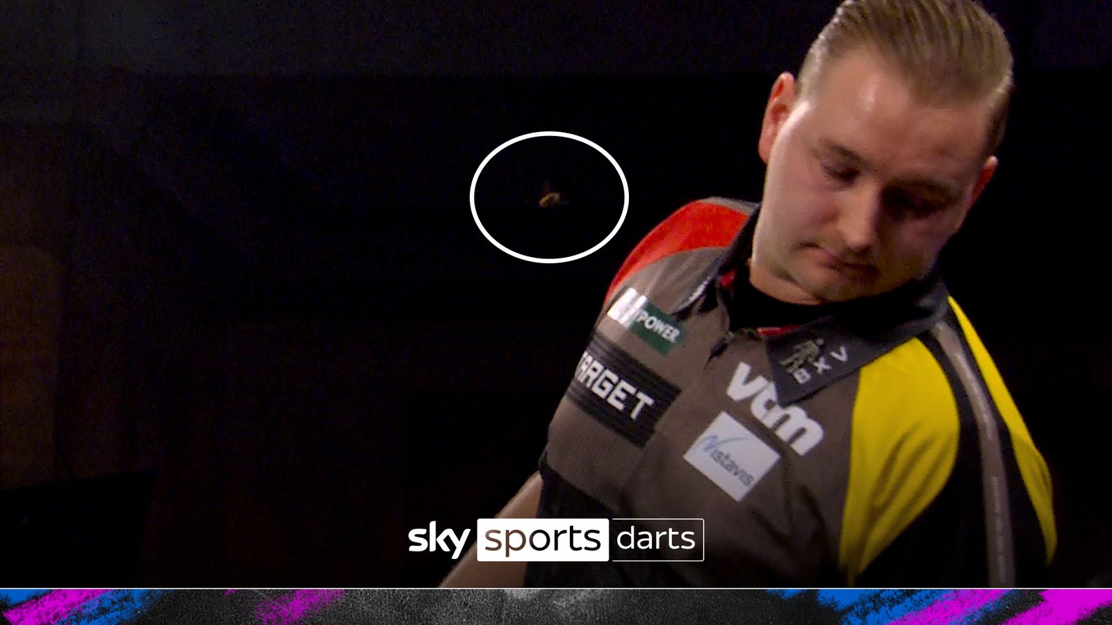 Look who's back! The Ally Pally wasp returns! | Darts News | Sky Sports