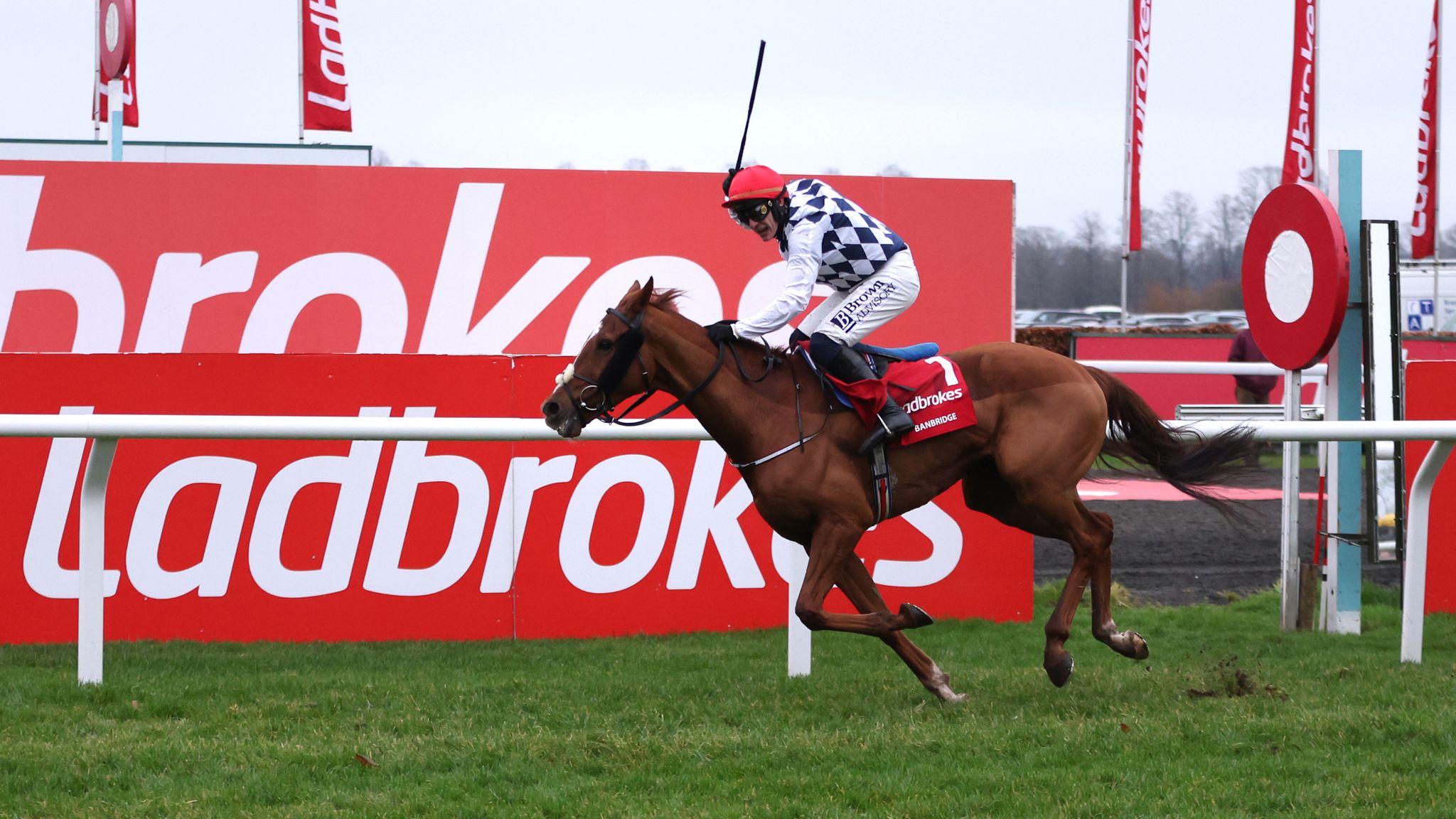 Cheltenham Gold Cup: Runner-by-runner guide for Festival's main event ...