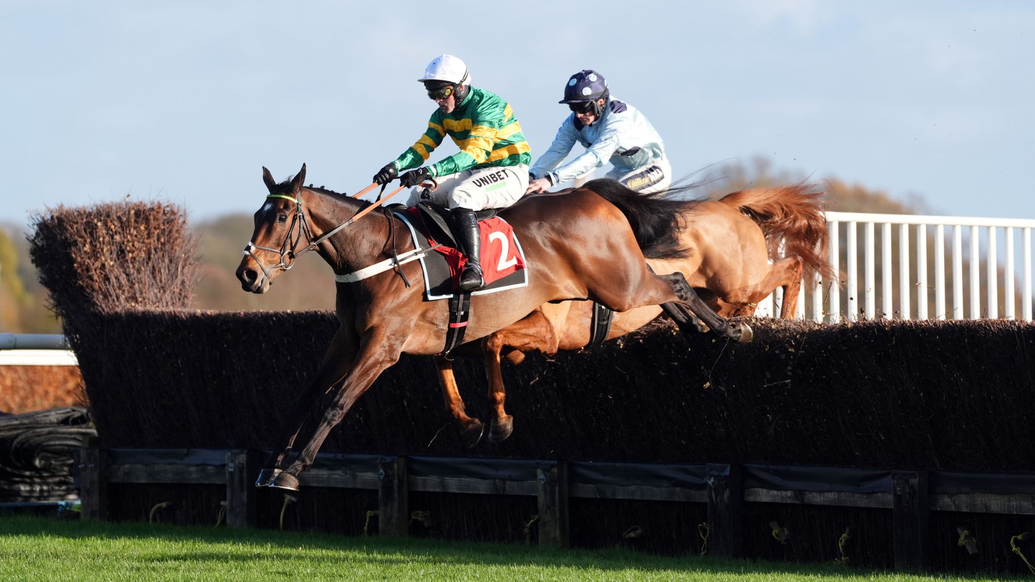 Today on Sky Sports Racing: Johnnywho and Rare Edition clash as Ascot's ...