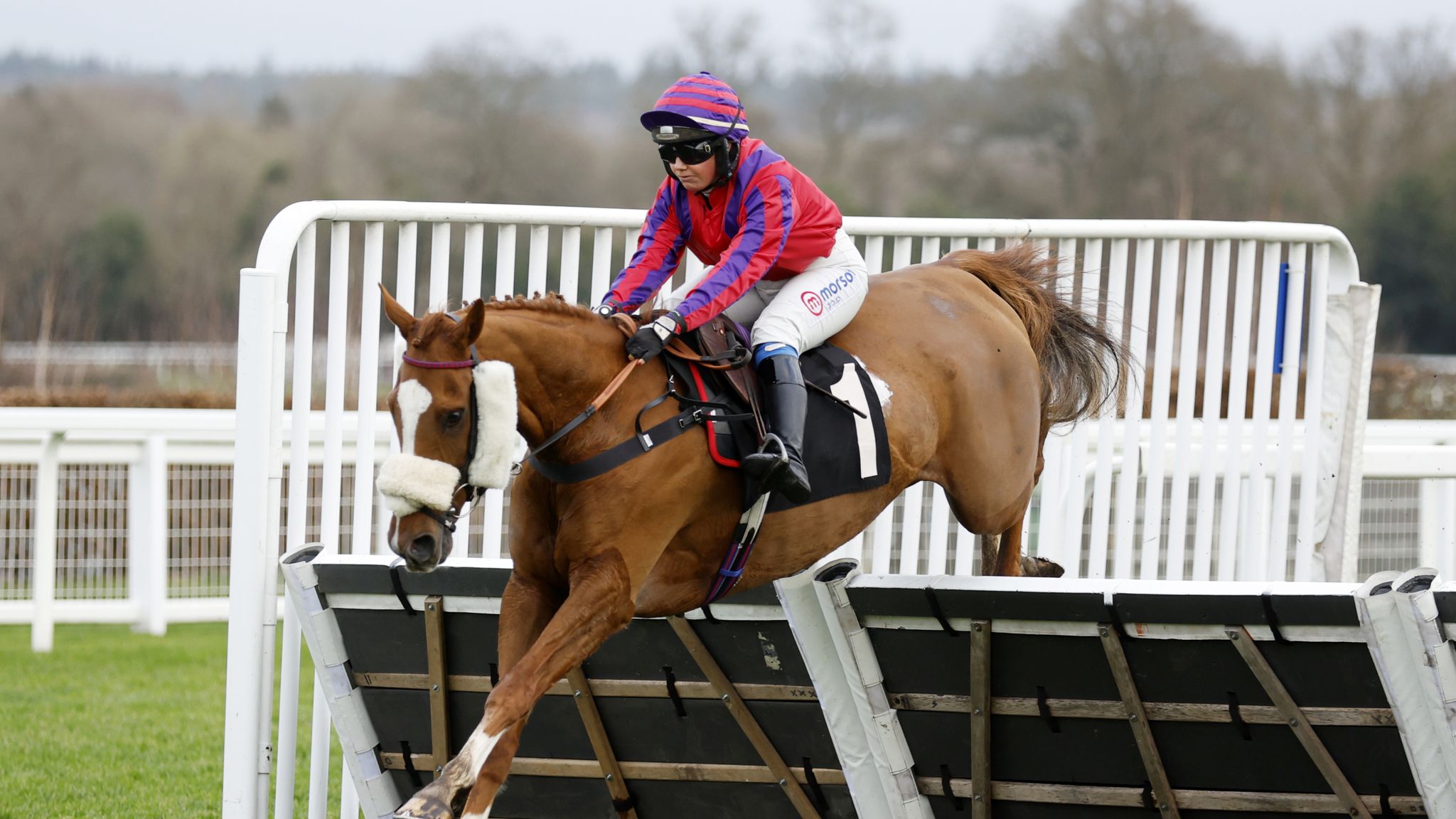 Long Walk Hurdle: Crambo all heart to defend Ascot Grade One crown for ...