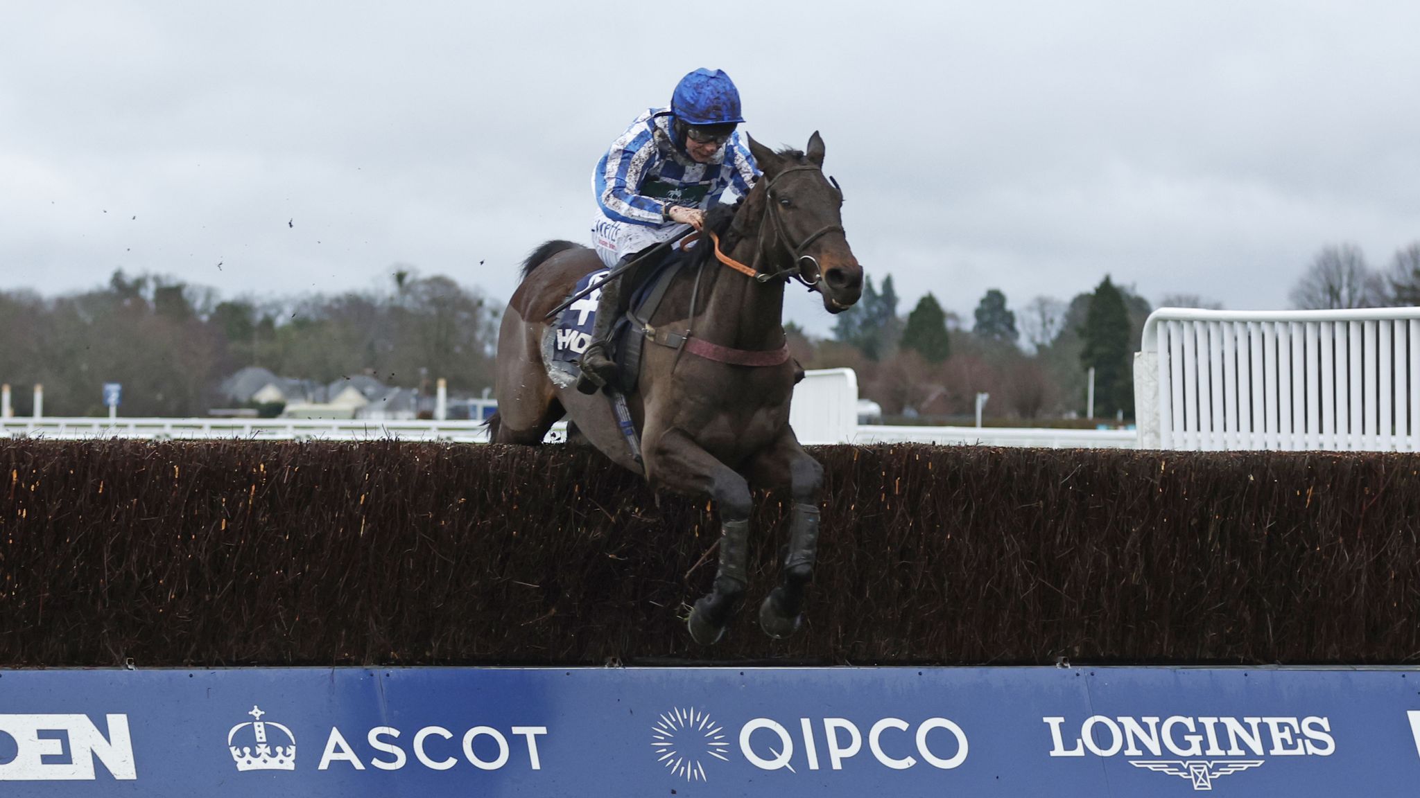 Long Walk Hurdle: Crambo all heart to defend Ascot Grade One crown for ...