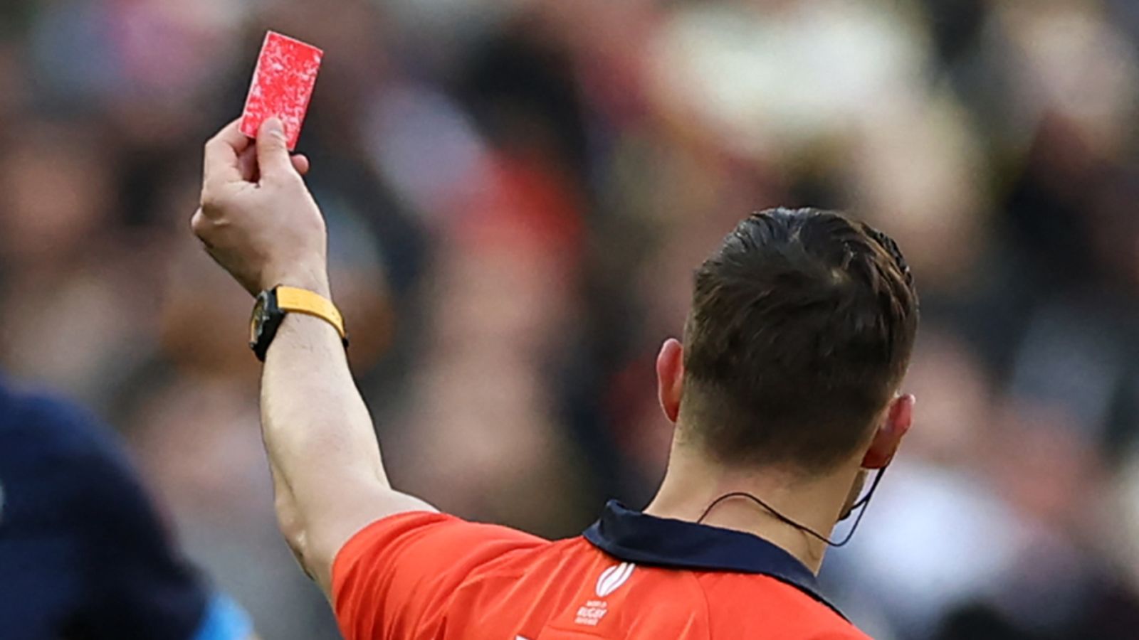 Six Nations: Twenty-minute red card and scrum-half protection among new ...