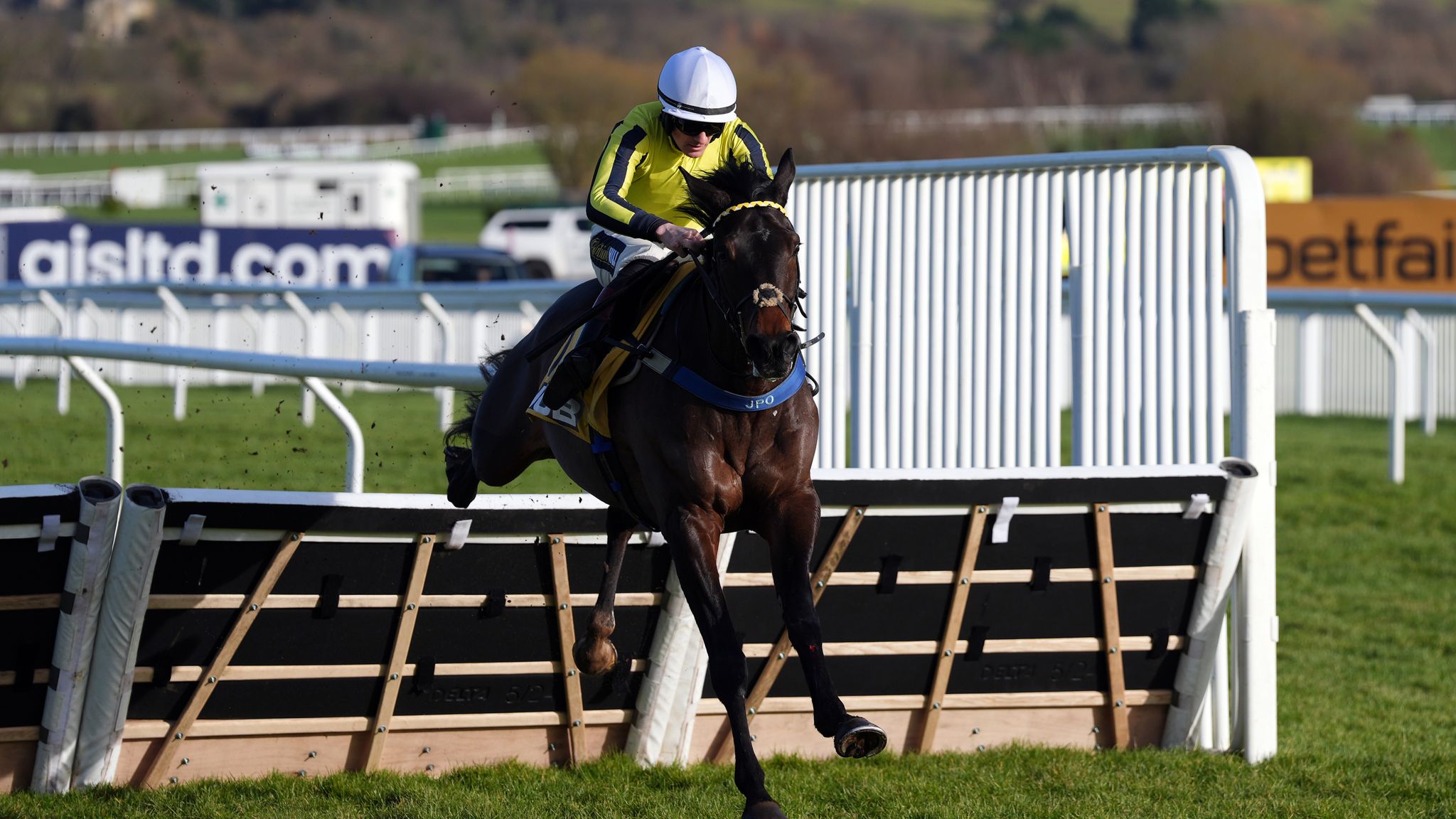 Cheltenham Festival day four tips: Jamie Codd taking on Gold Cup ...