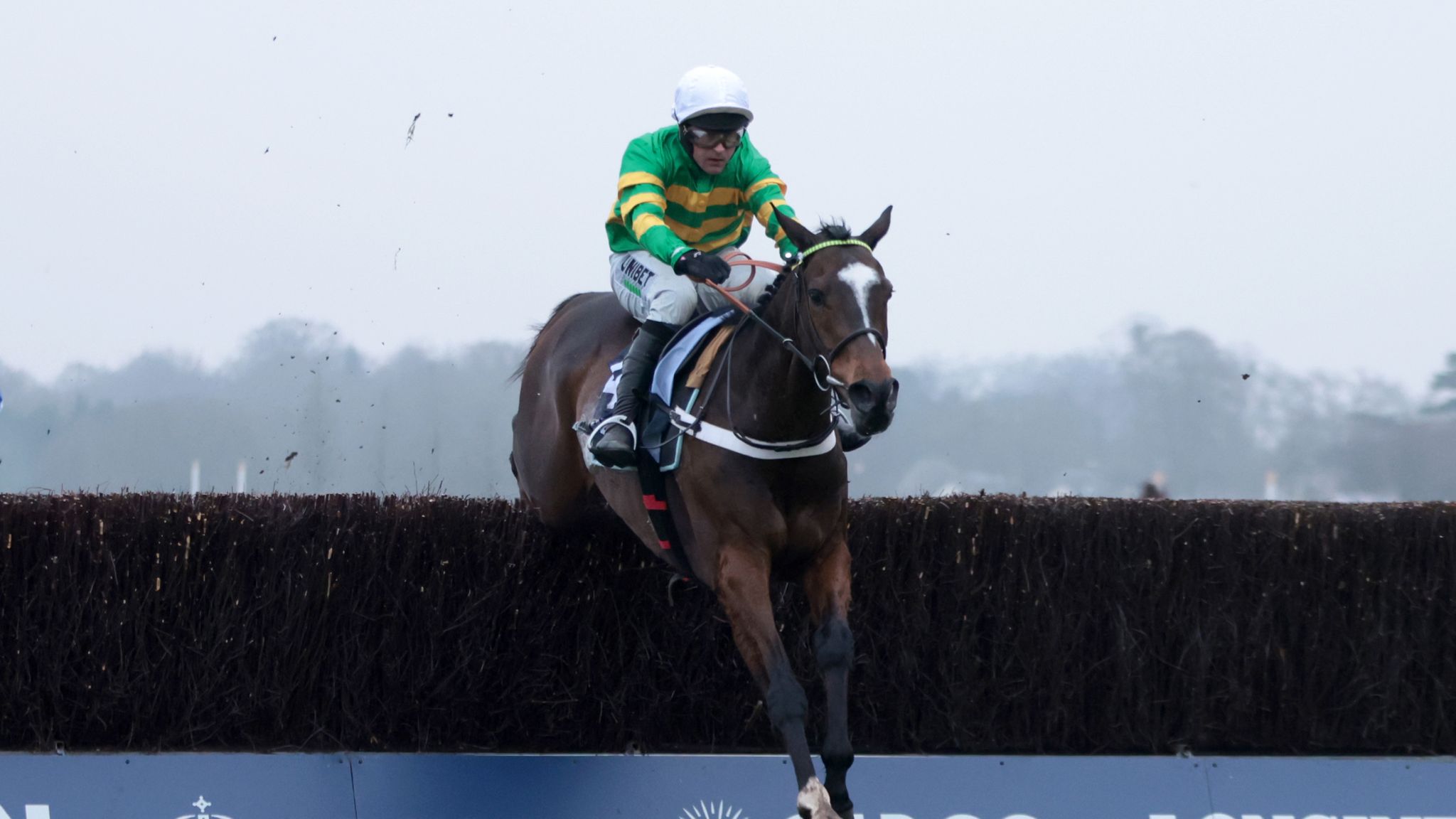 Cheltenham Festival day two tips: 40/1 Coral Cup pick from Jamie Codd ...