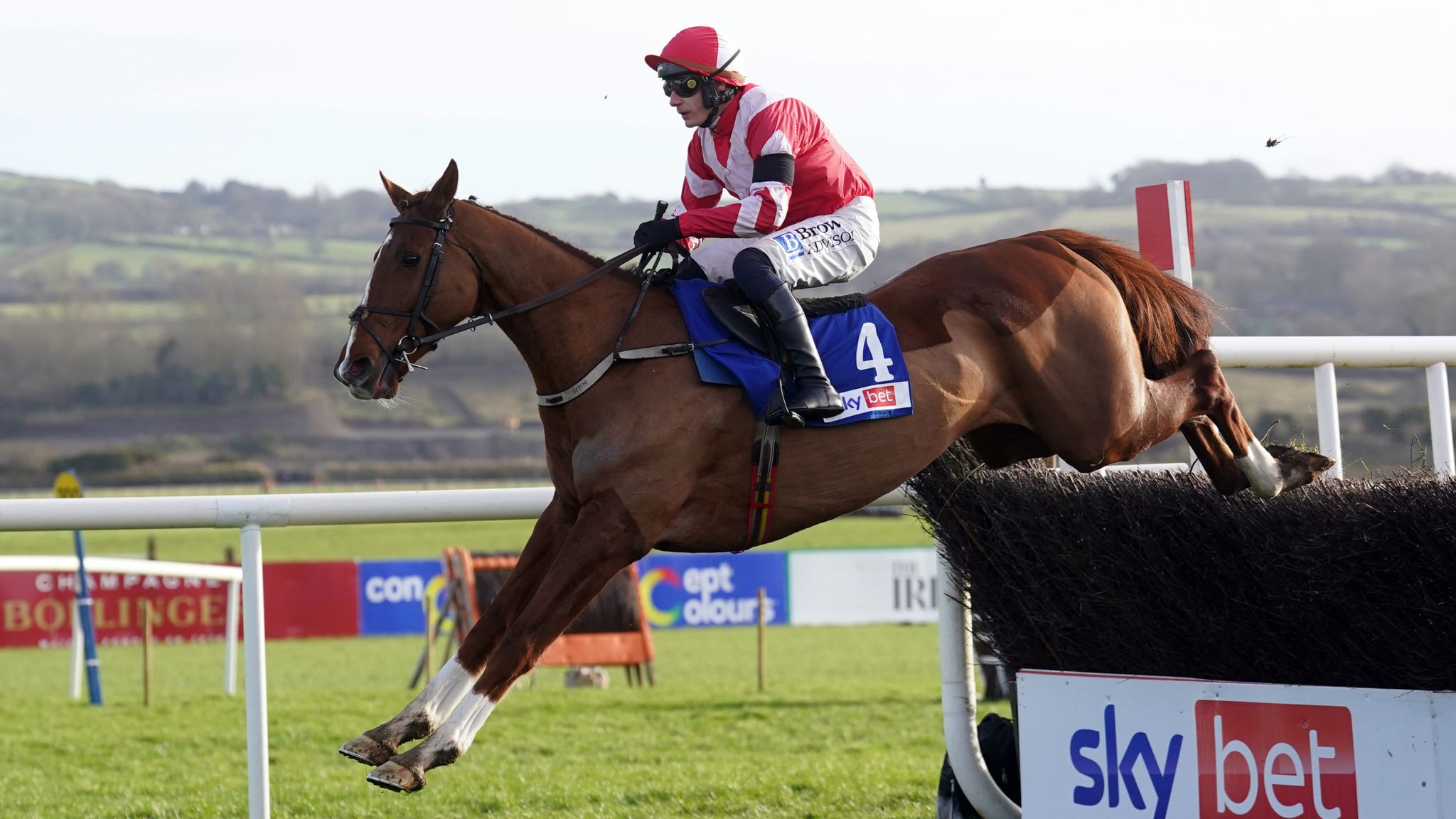 Punchestown: Salvator Mundi swoops late for Moscow Flyer crown | Racing ...