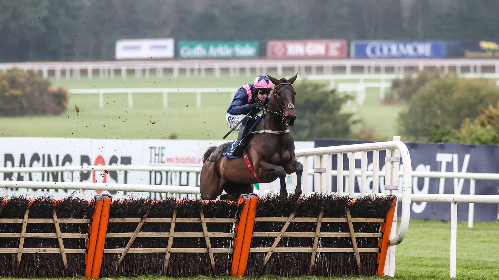 Leopardstown: State Man lands third Irish Champion Hurdle | Racing News ...