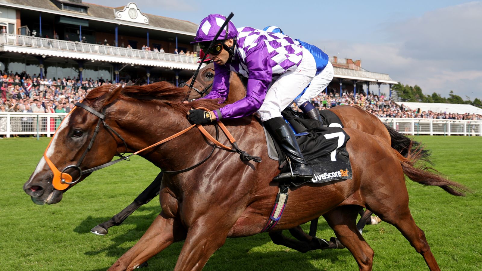 BetUK Winter Derby: Jamie Lynch's horse-by-horse guide for Southwell's ...