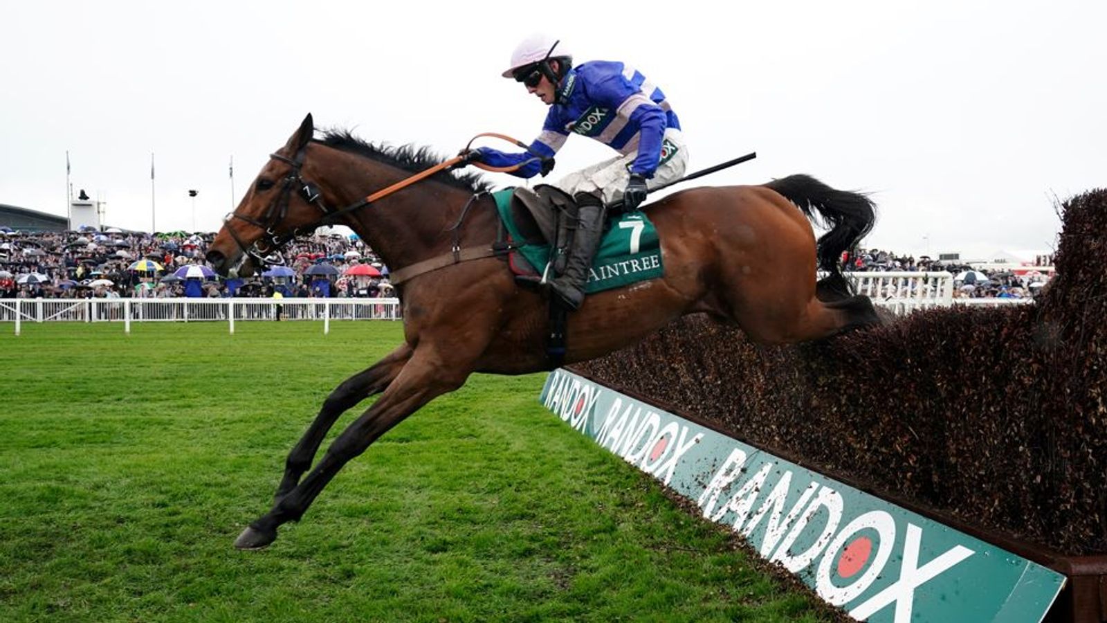 Ascot Chase guide: Venetia Williams' star can take Grade One honours ...