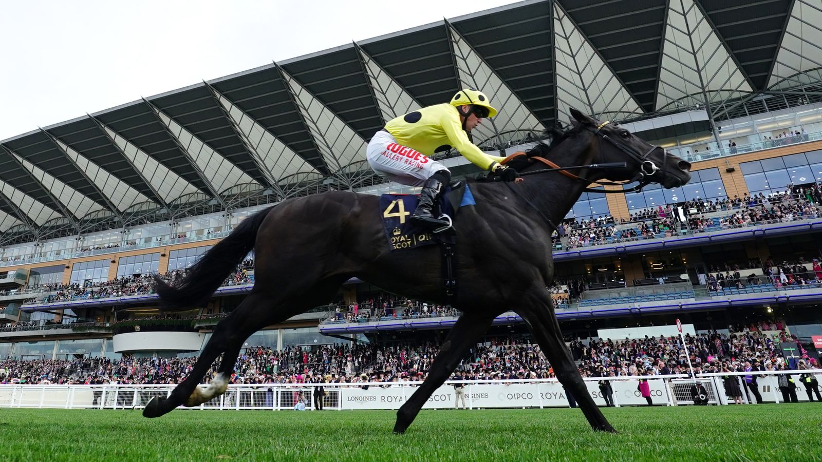 BetUK Winter Derby: Jamie Lynch's horse-by-horse guide for Southwell's ...