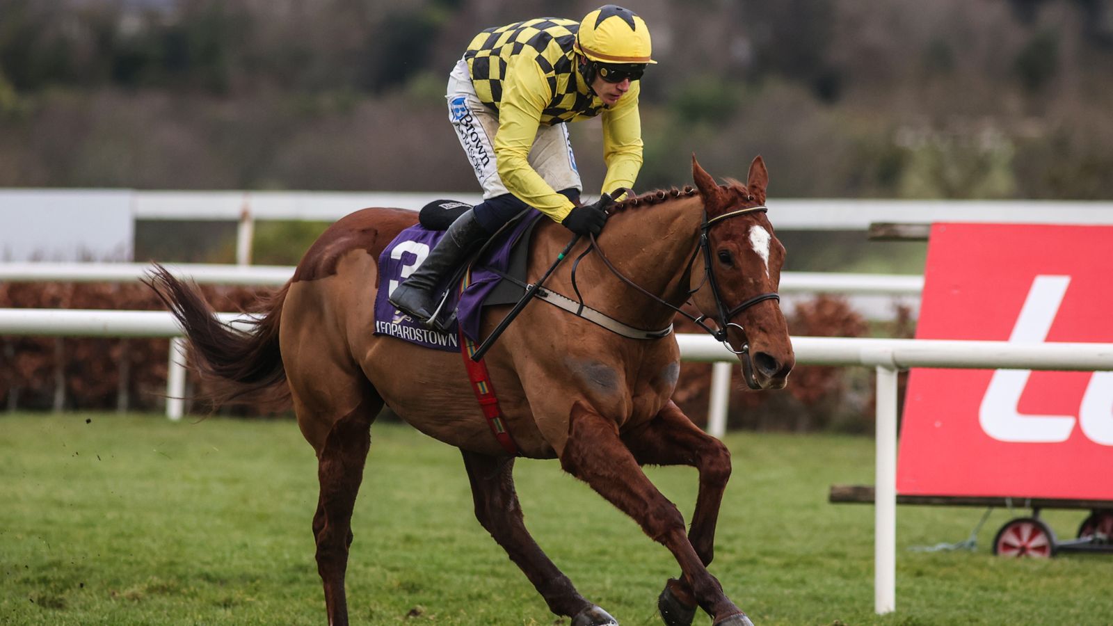 Leopardstown: State Man lands third Irish Champion Hurdle | Racing News ...