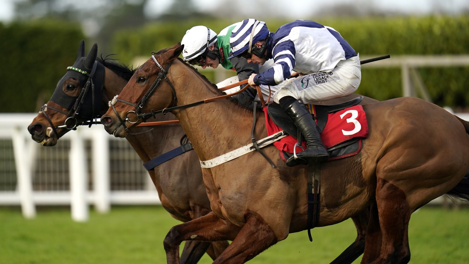 Newbury tips: Jamie Lynch tips Vincenzo for Greatwood Gold Cup glory ...