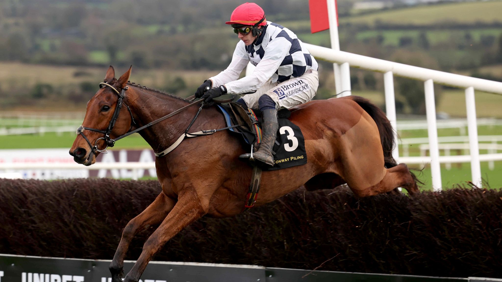 Cheltenham Festival day two tips: 40/1 Coral Cup pick from Jamie Codd ...
