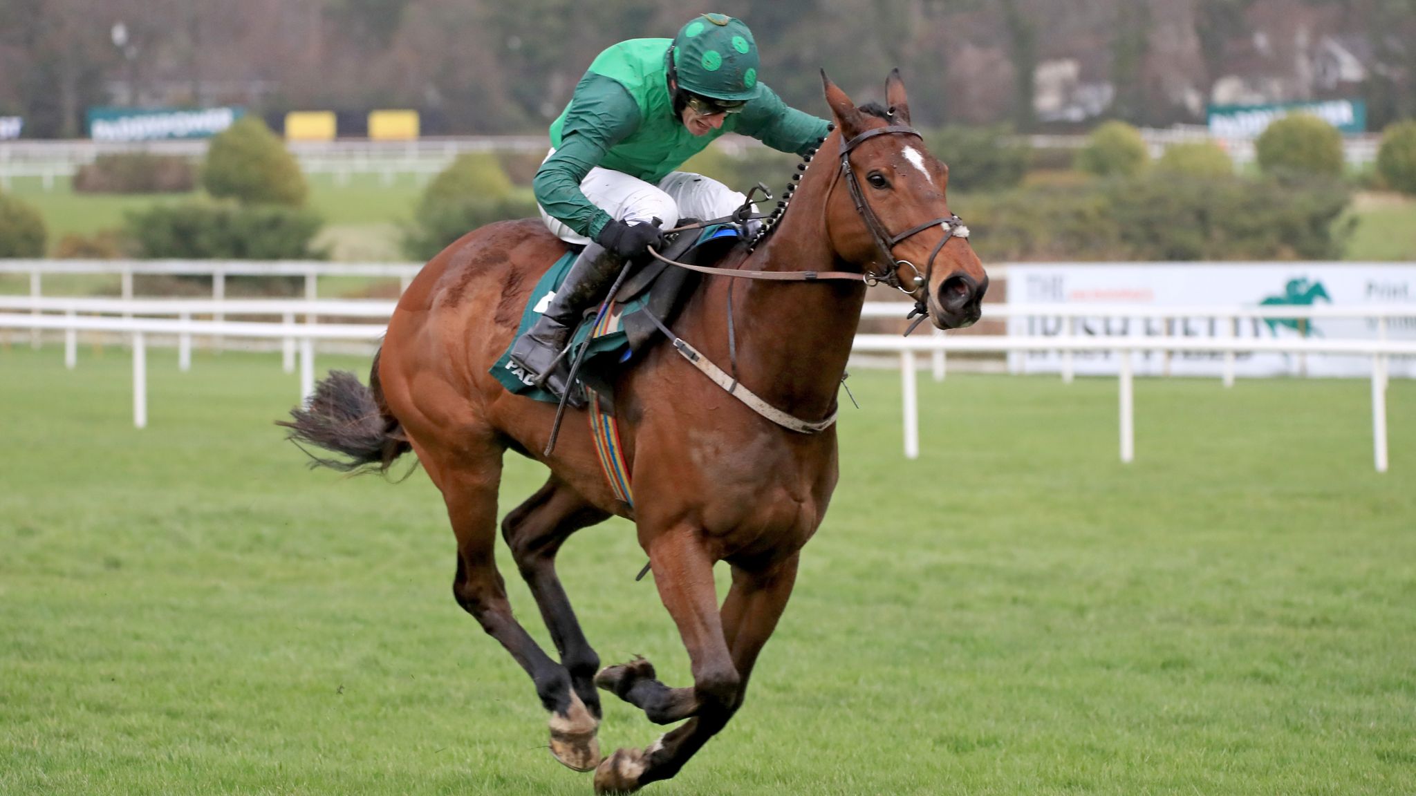 Ascot Chase guide: Venetia Williams' star can take Grade One honours ...