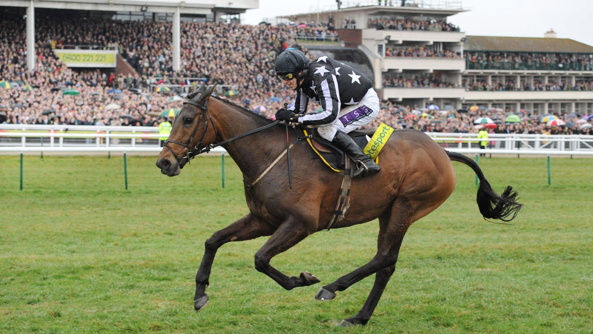 Cheltenham Festival: Paddy Brennan recalls famous victories on Imperial ...