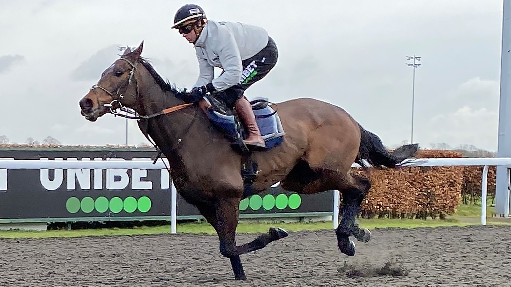 Constitution Hill: Nicky Henderson's Champion Hurdle favourite passes ...