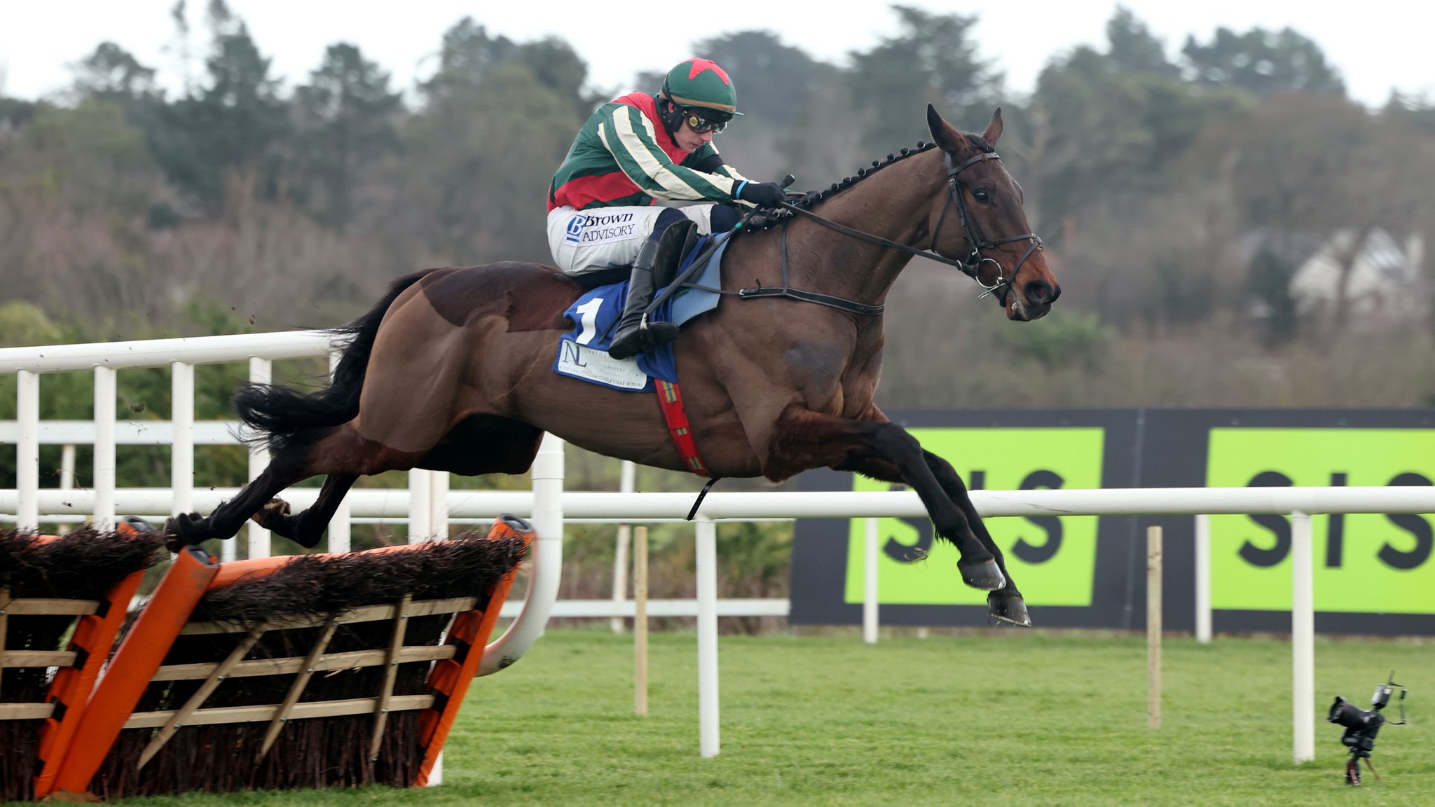 Cheltenham Festival day two tips: 40/1 Coral Cup pick from Jamie Codd ...