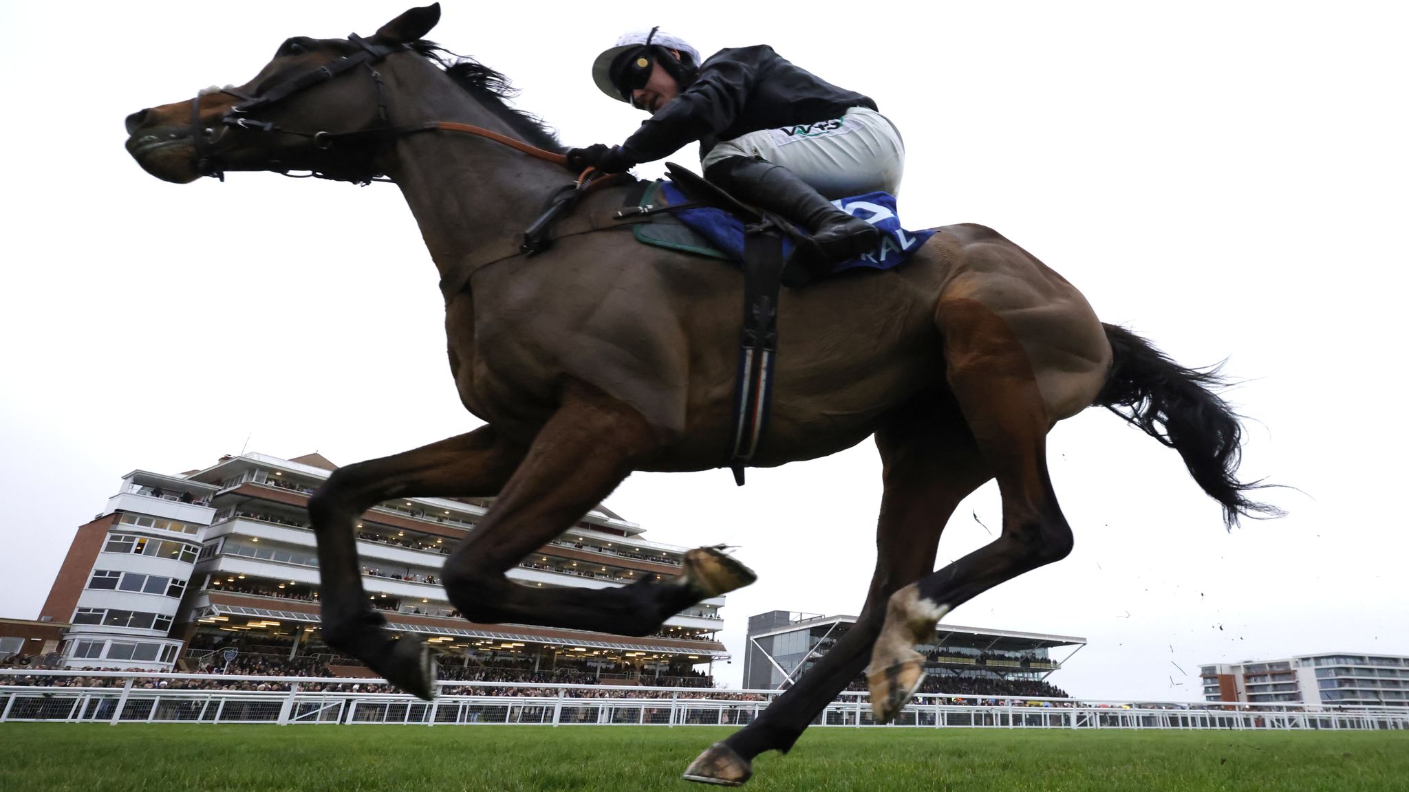 Doncaster tips: Hymac fancied for Grimthorpe Handicap Chase gold on ...