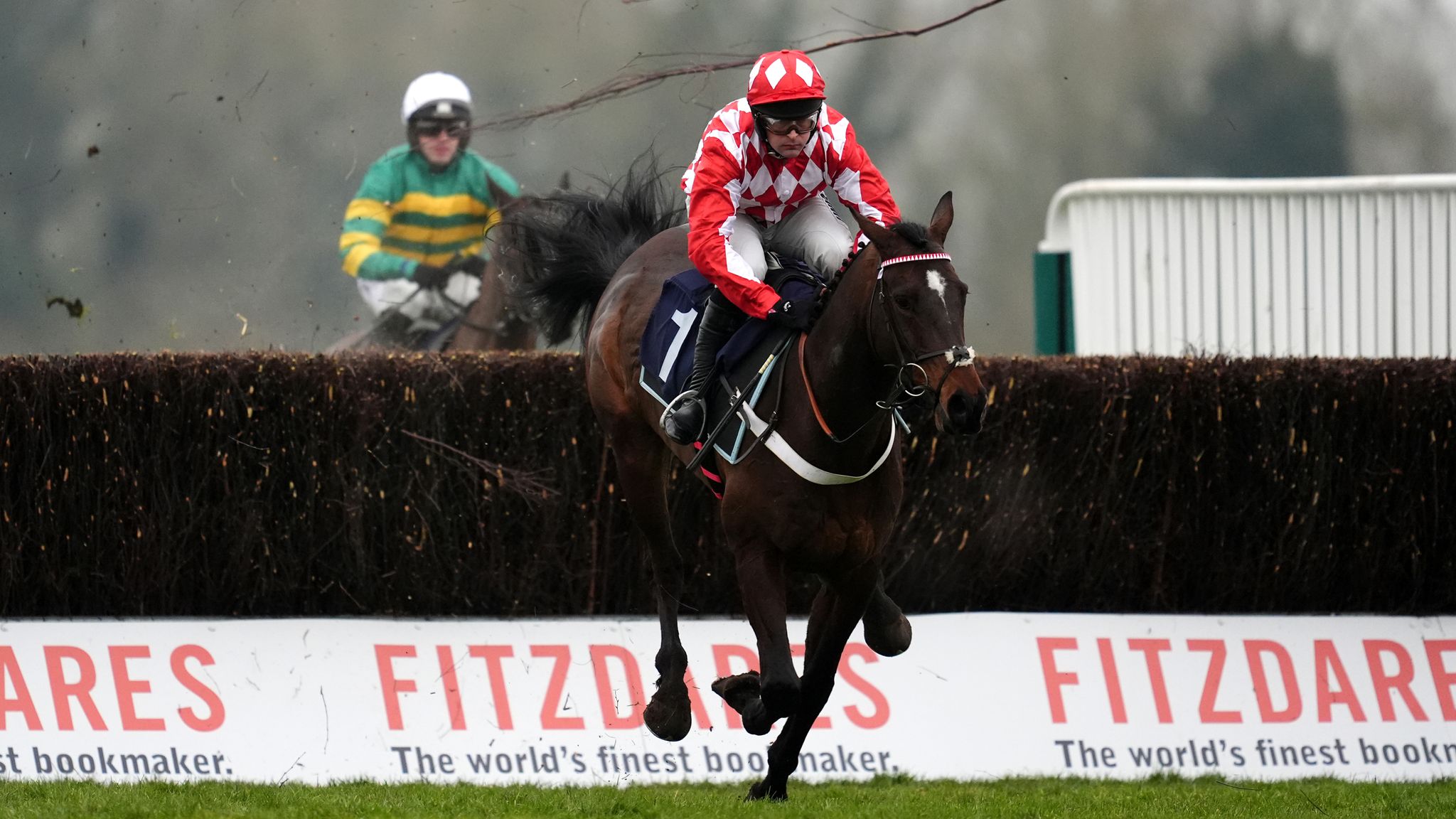 Ascot tips: Jingko Blue tipped to go well in Reynoldstown Chase ...