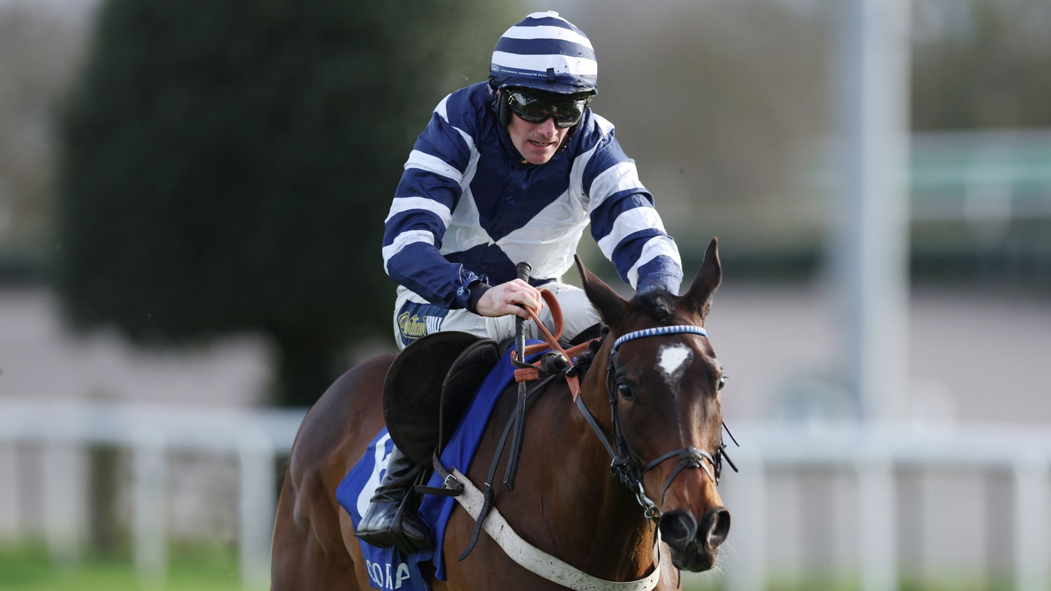 Newbury tips: Lump Sum fancied for handicap success on Super Saturday ...