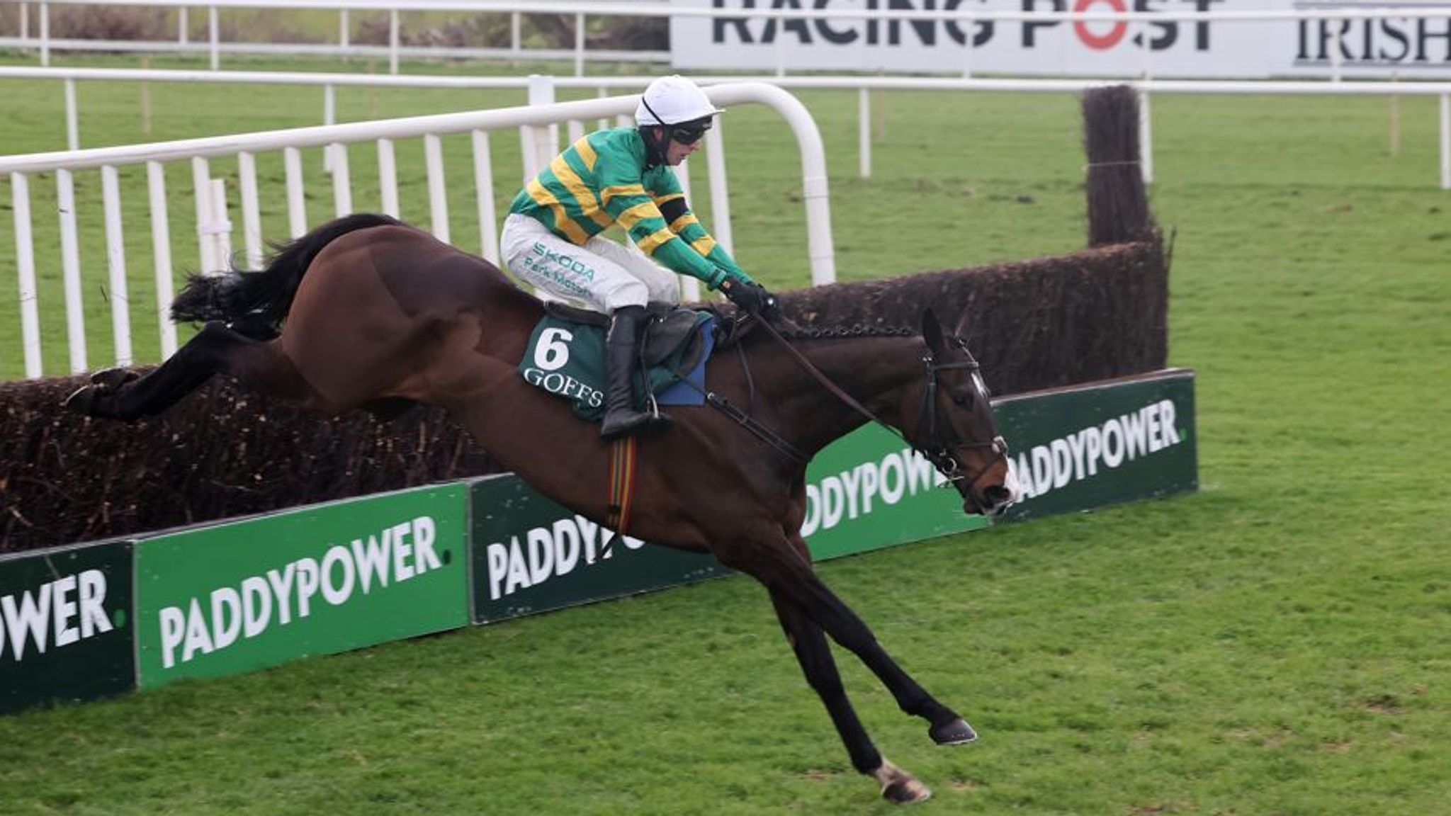 Cheltenham Festival day one tips: Jamie Codd kicks off with a 66/1 each ...
