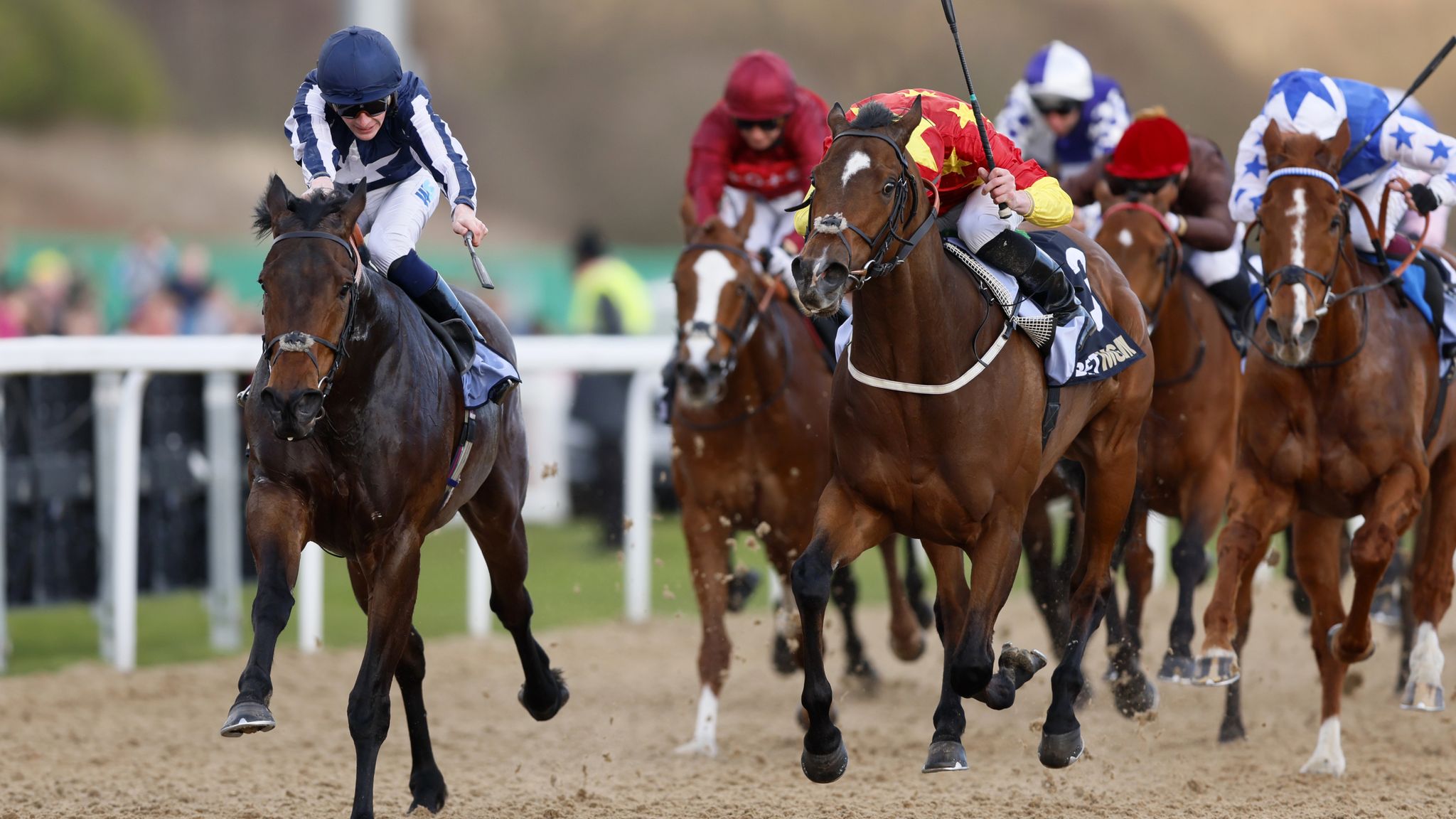Today on Sky Sports Racing: Newcastle hosts eight-race all-weather ...