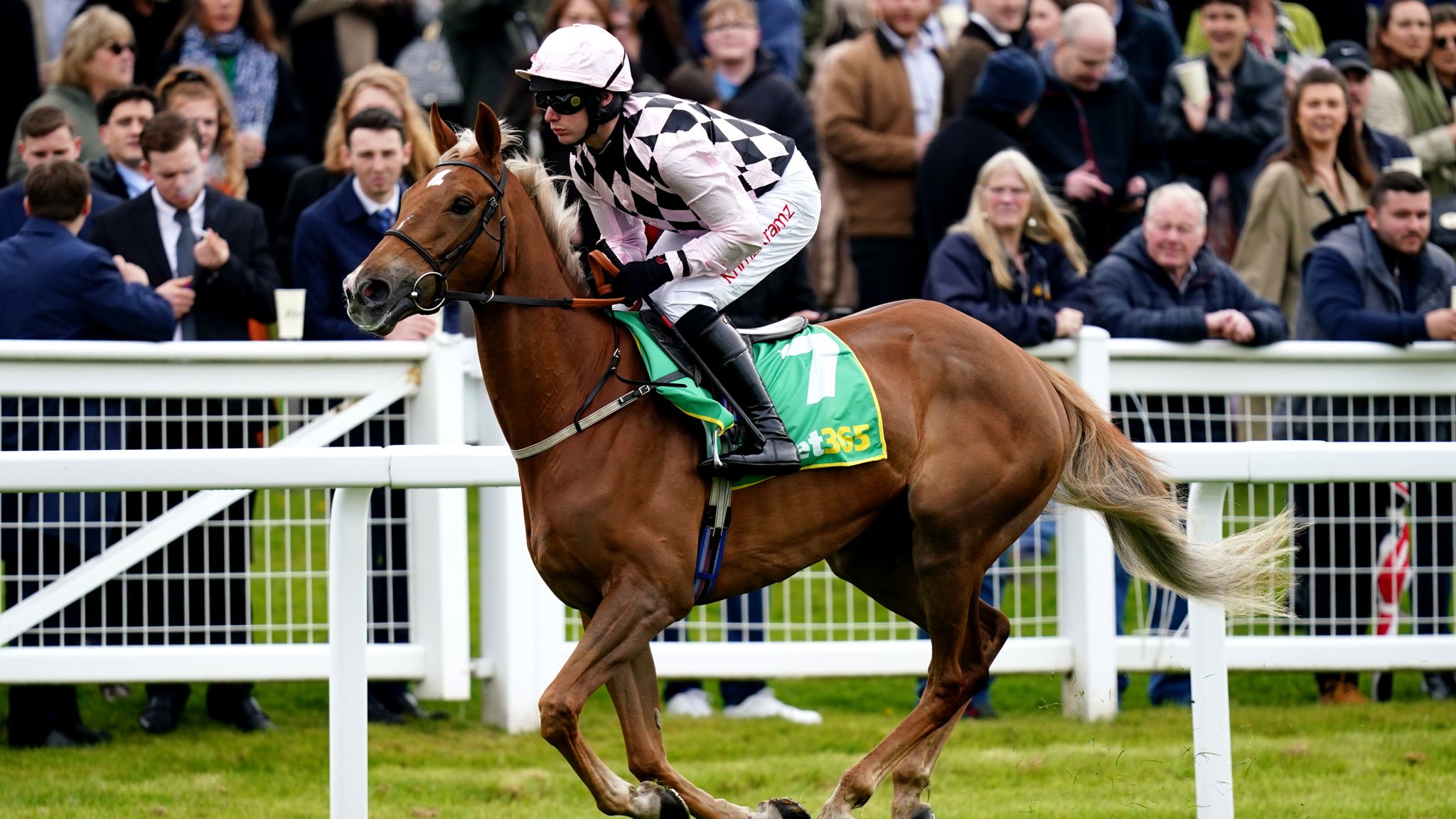 Today on Sky Sports Racing: Joyeuse, Navajo Indy and Secret Squirrel ...
