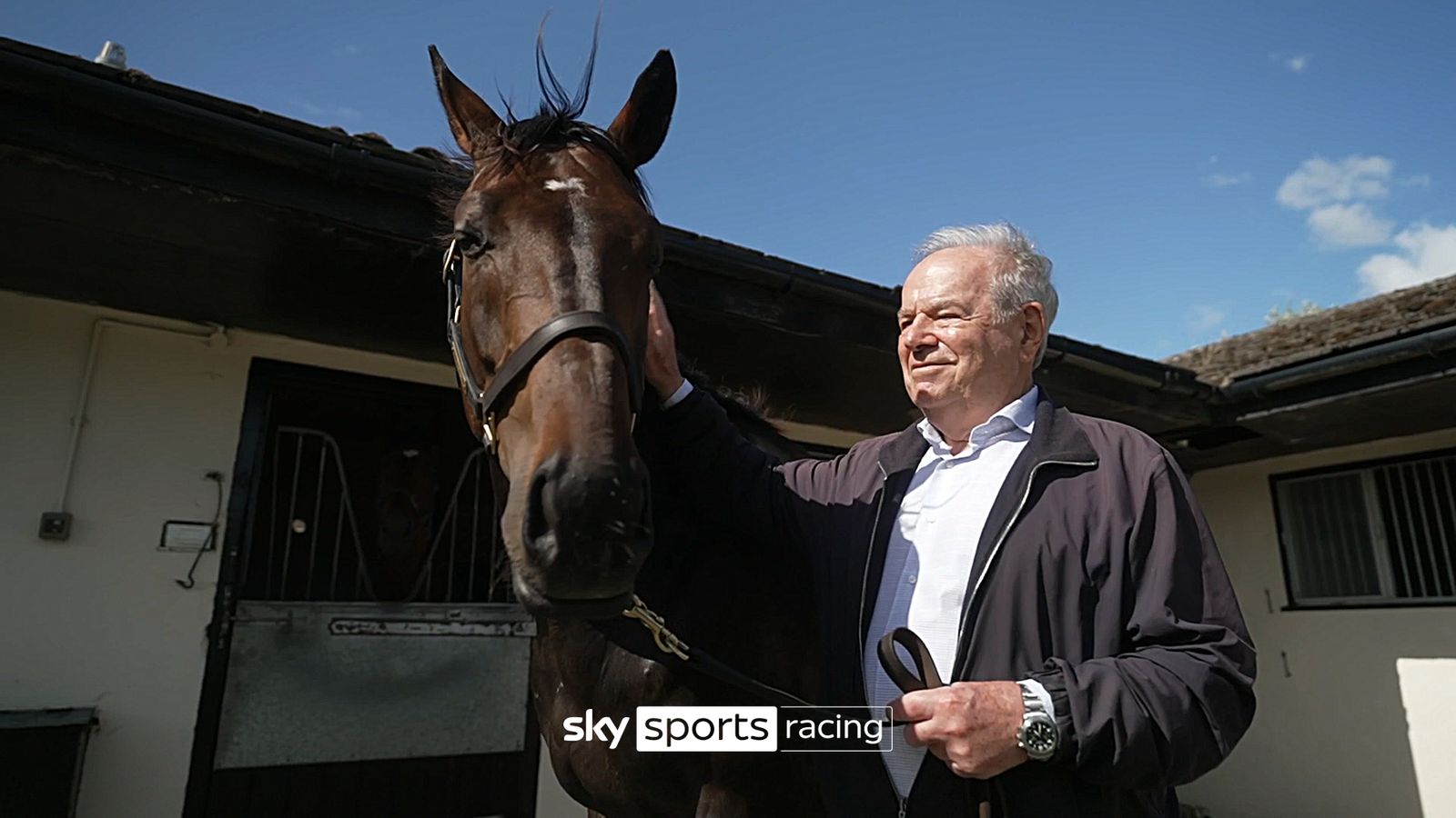 Cheltenham Festival: Constitution Hill looks better than ever ahead of ...