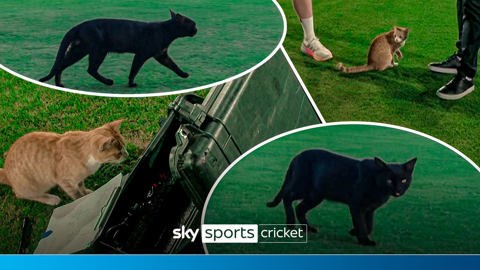 Michael Atherton rips into England as their white-ball winter ended ...