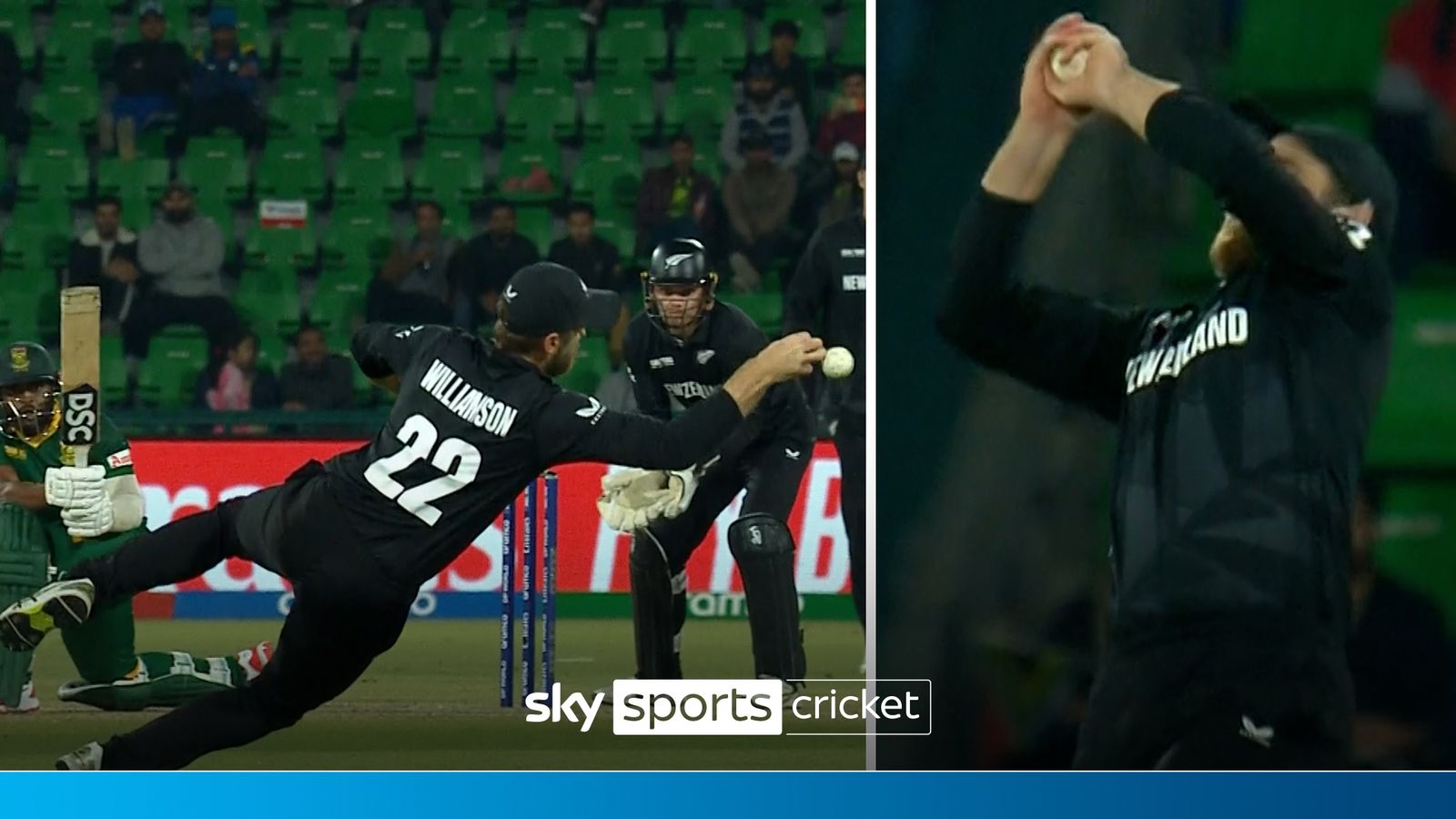 Kane Williamson makes up for drop catch with Bavuma wicket | Cricket ...