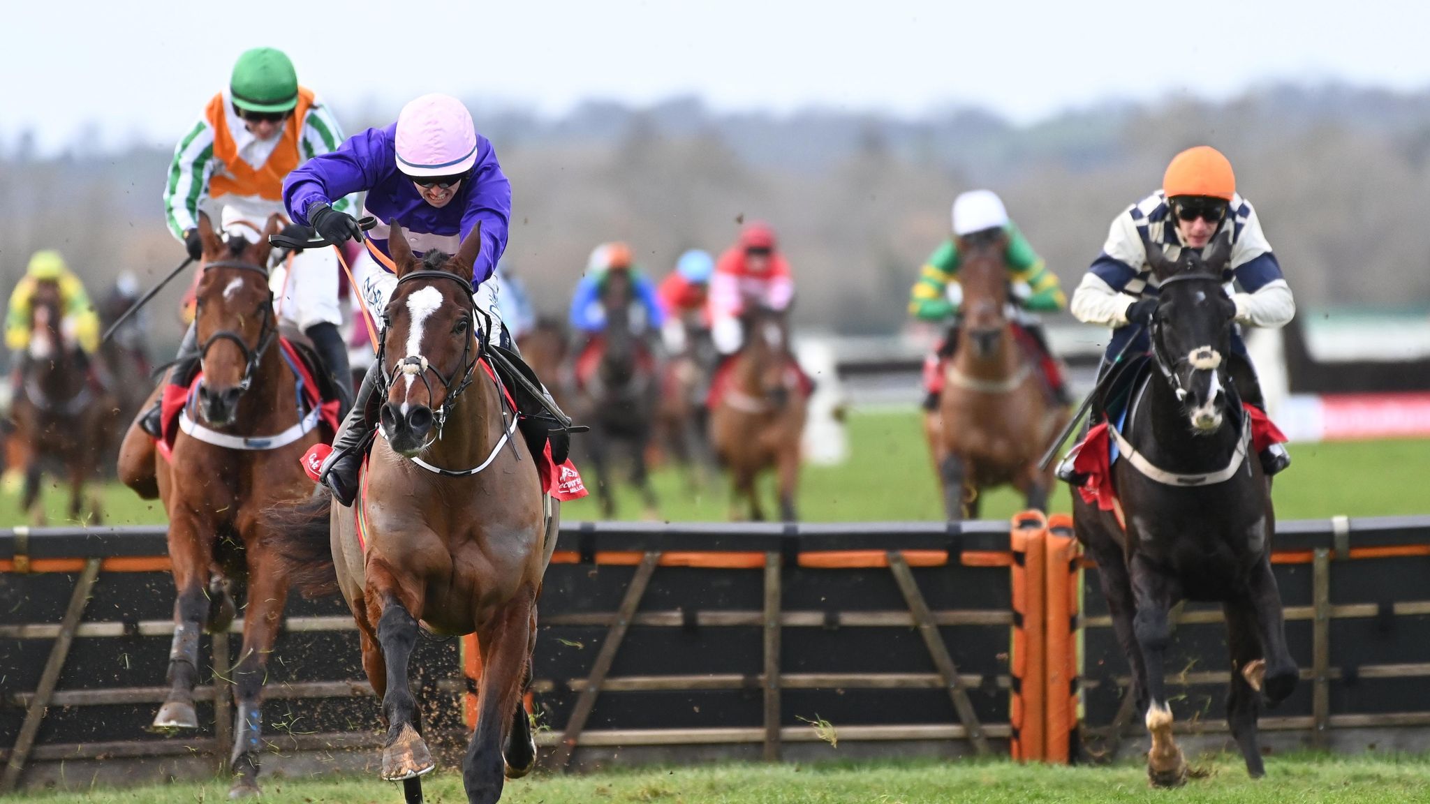 Cheltenham Festival day one tips: Jamie Codd kicks off with a 66/1 each ...