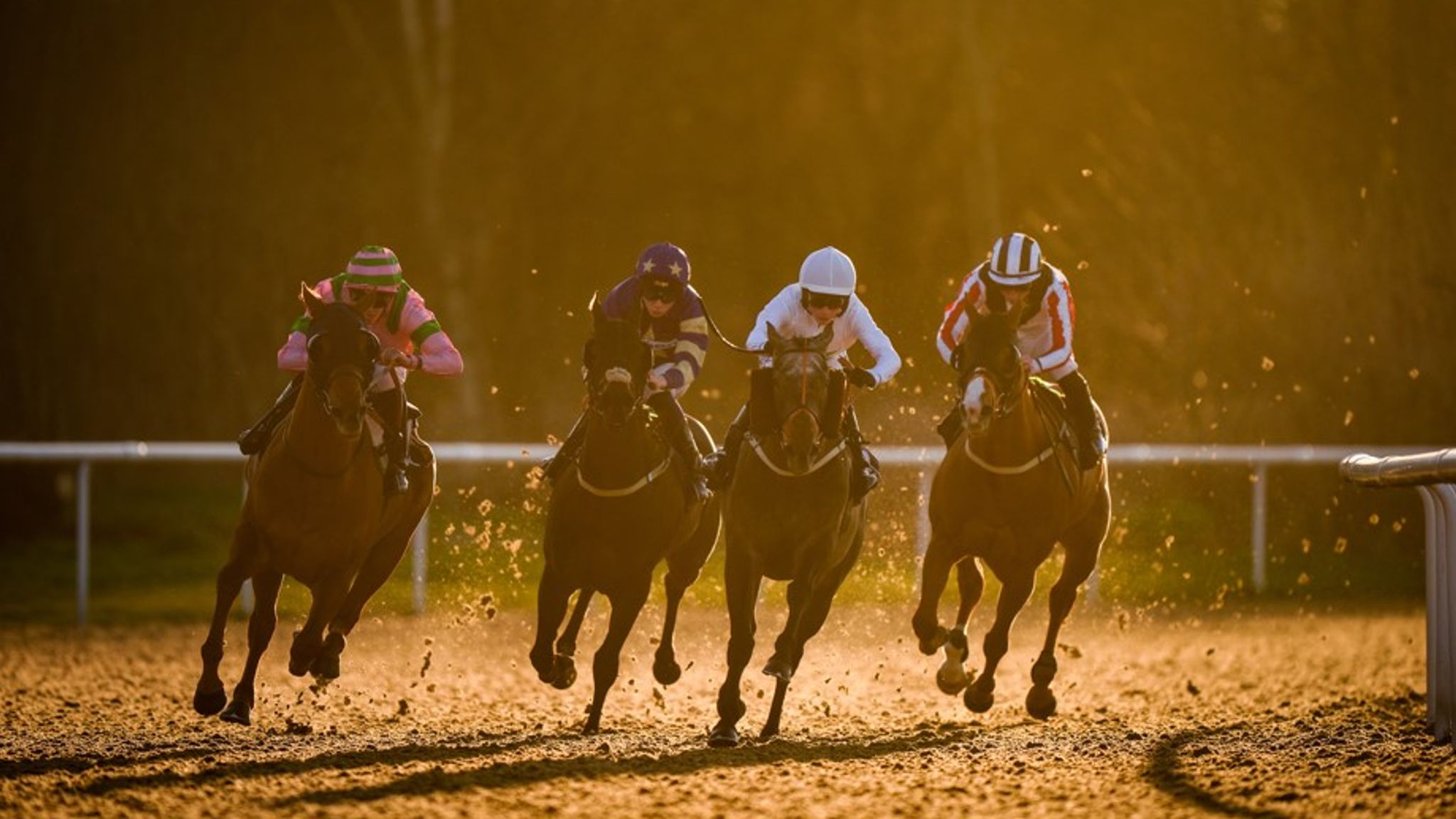 Today on Sky Sports Racing: Wolverhampton & Sedgefield feature on ...