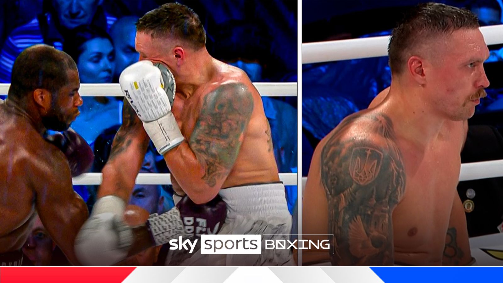 Oleksandr Usyk vs Daniel Dubois undisputed heavyweight world ...