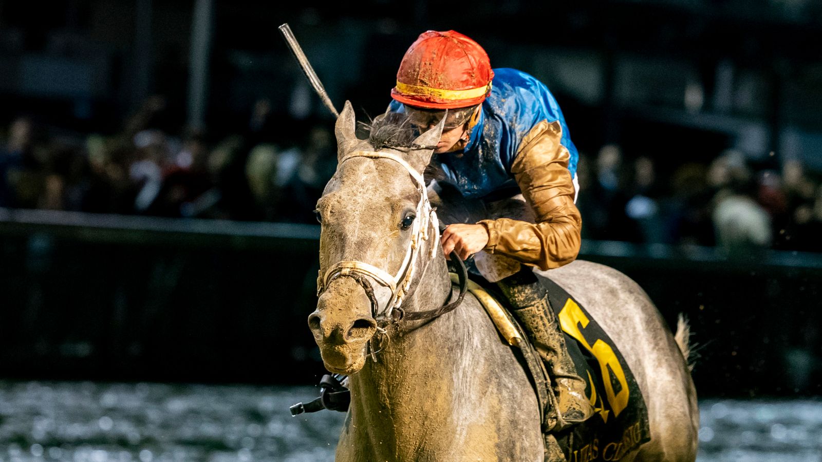 Racing round-up: Hit Show wins Dubai World Cup in Meydan for Brad Cox ...