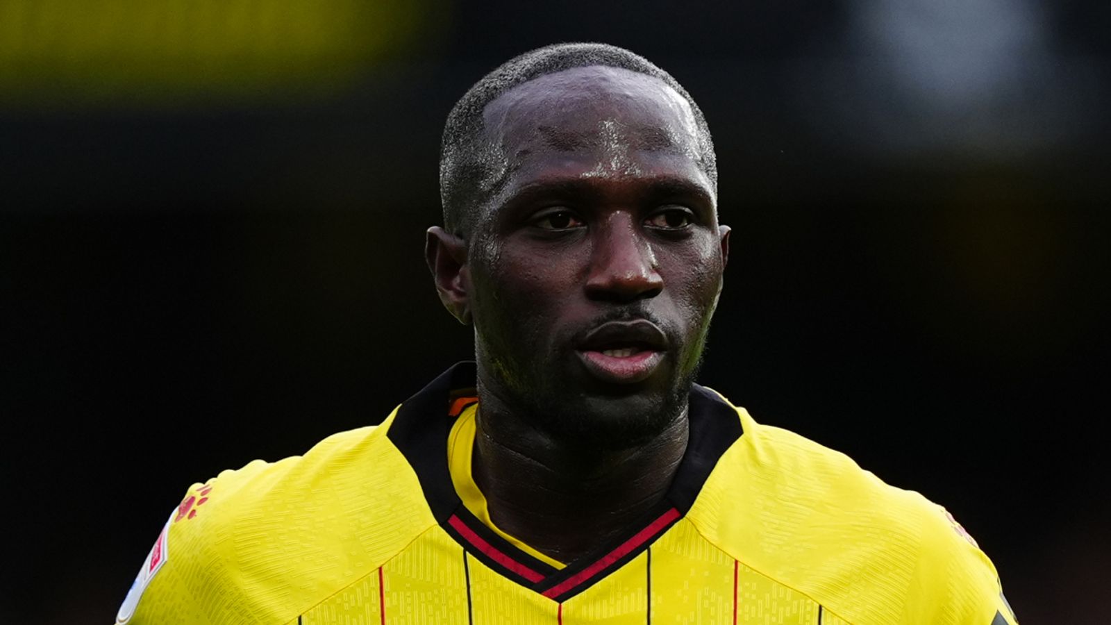 Watford 1-0 Hull City: Moussa Sissoko keeps Watford play-off hopes ...