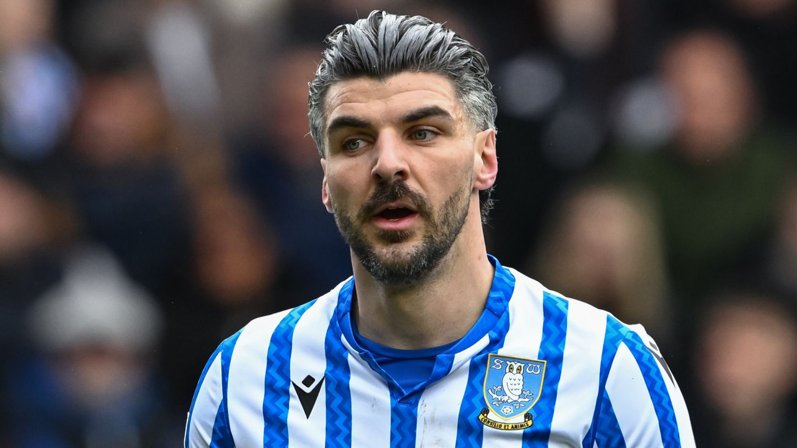 Sheff Wed 1 - 1 Portsmouth - Match Report & Highlights