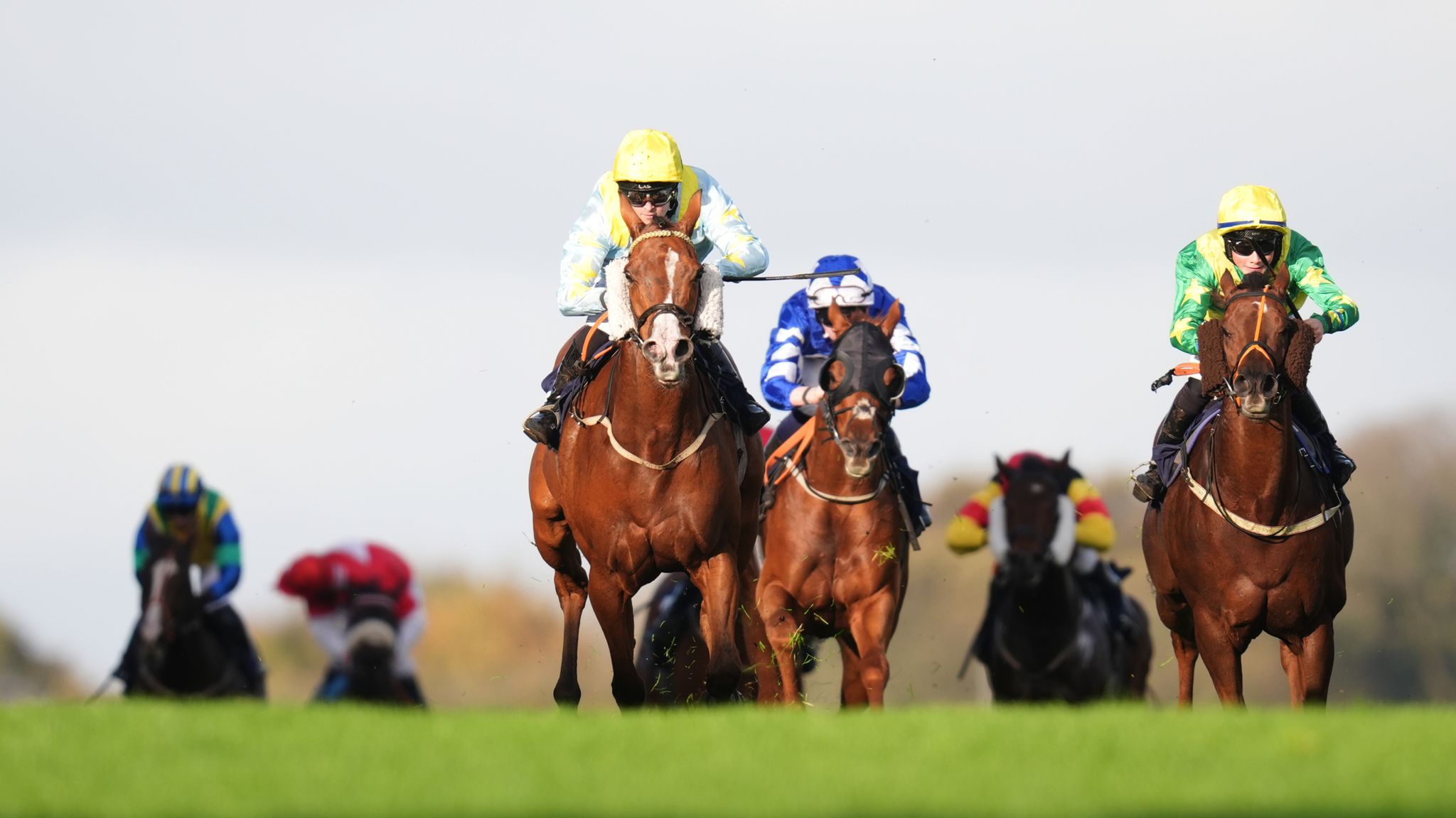 Today on Sky Sports Racing: Brighton and Wolverhampton | Racing News ...