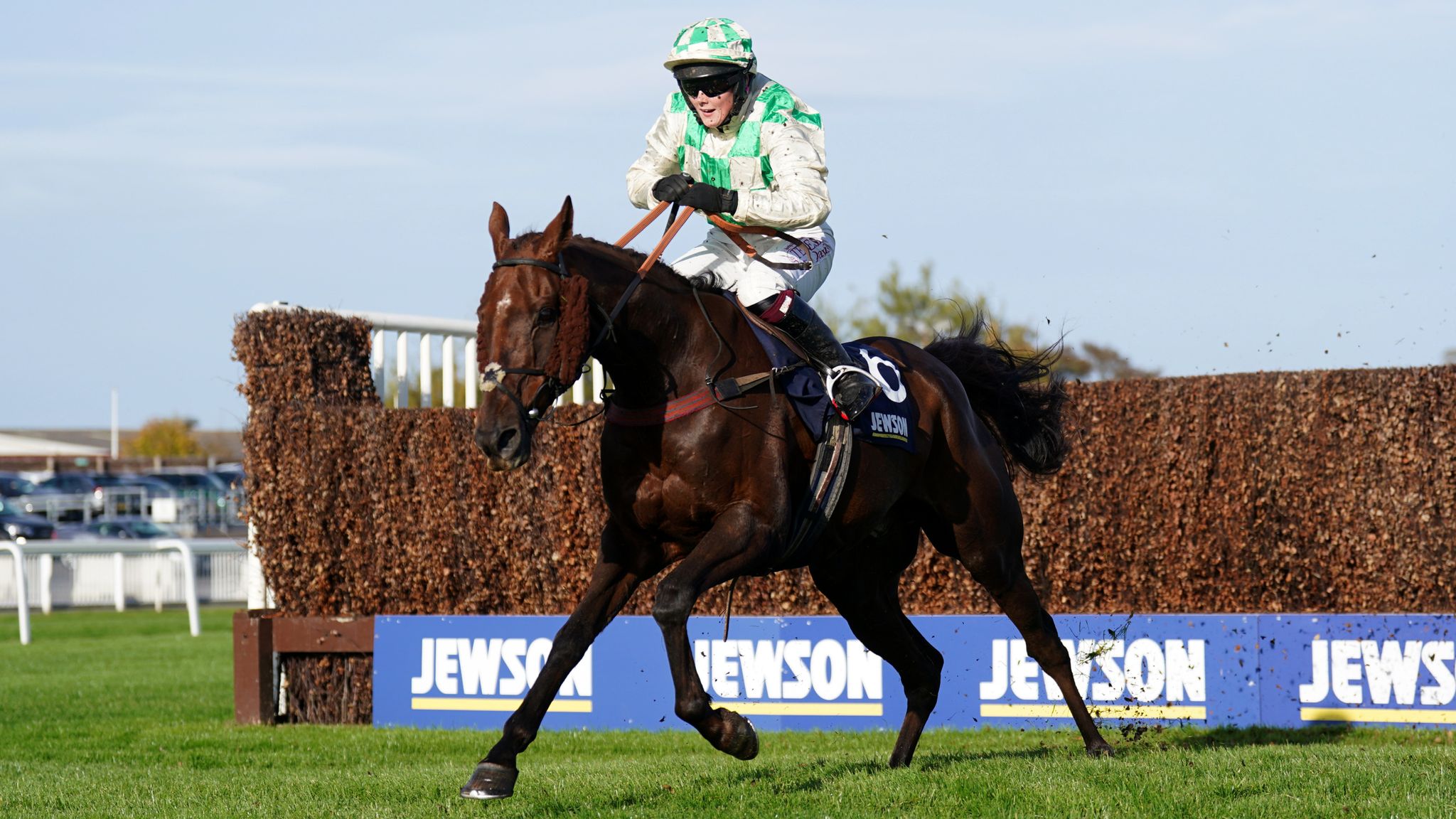 Grand National: Celebre d'Allen dies days after collapsing near Aintree ...