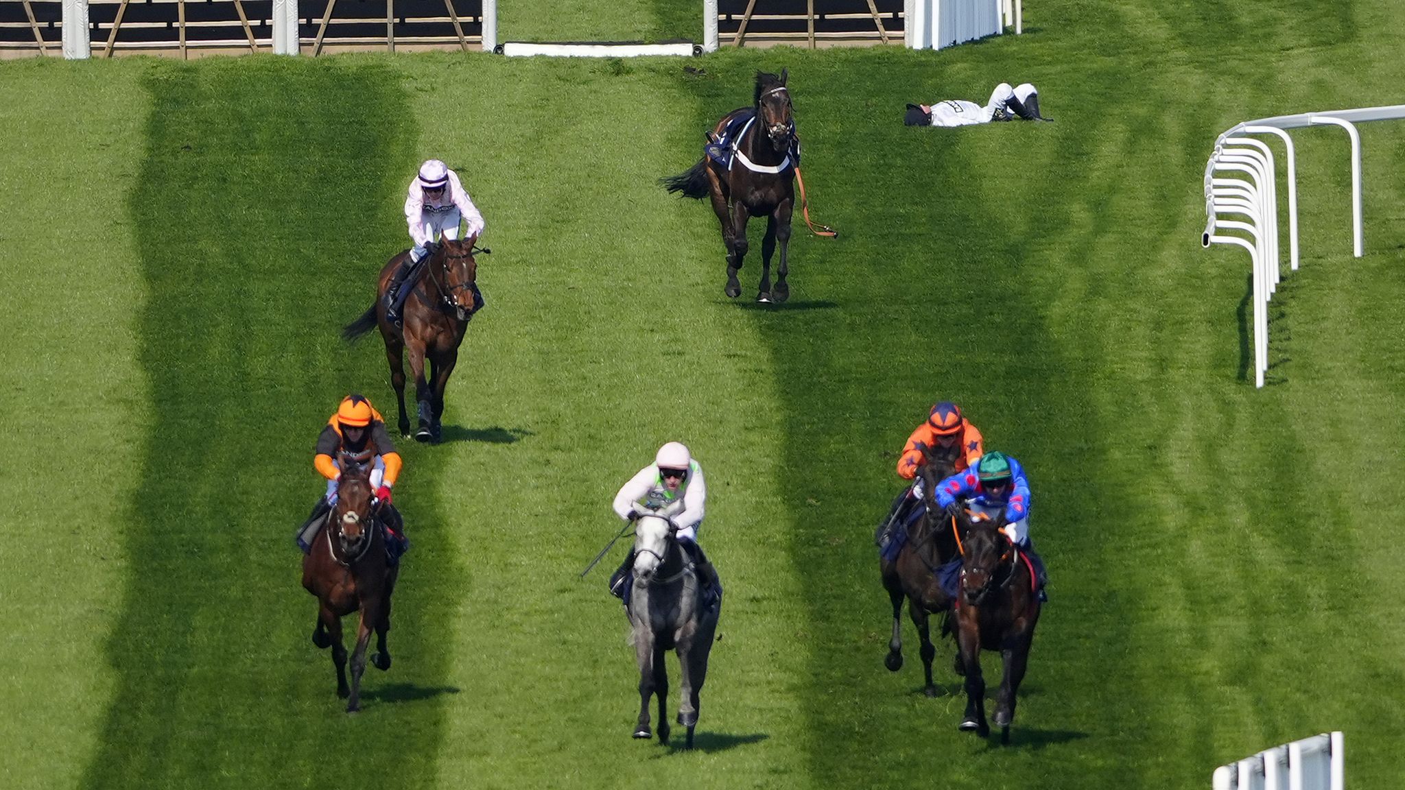 Constitution Hill: Nico de Boinville wishing his star well at Punchestown Festival but won't ...