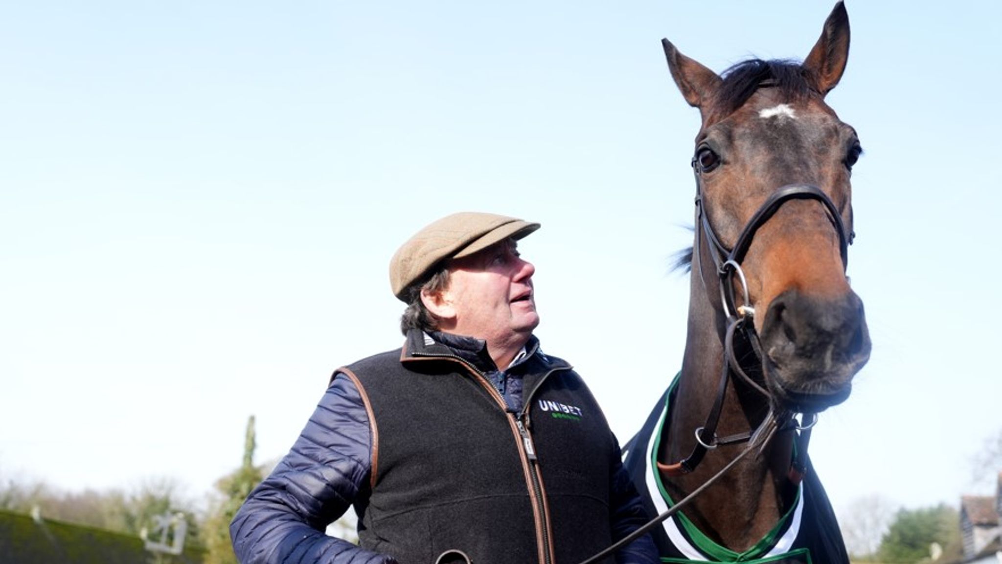 Constitution Hill: Nicky Henderson's star could have Cheltenham ...