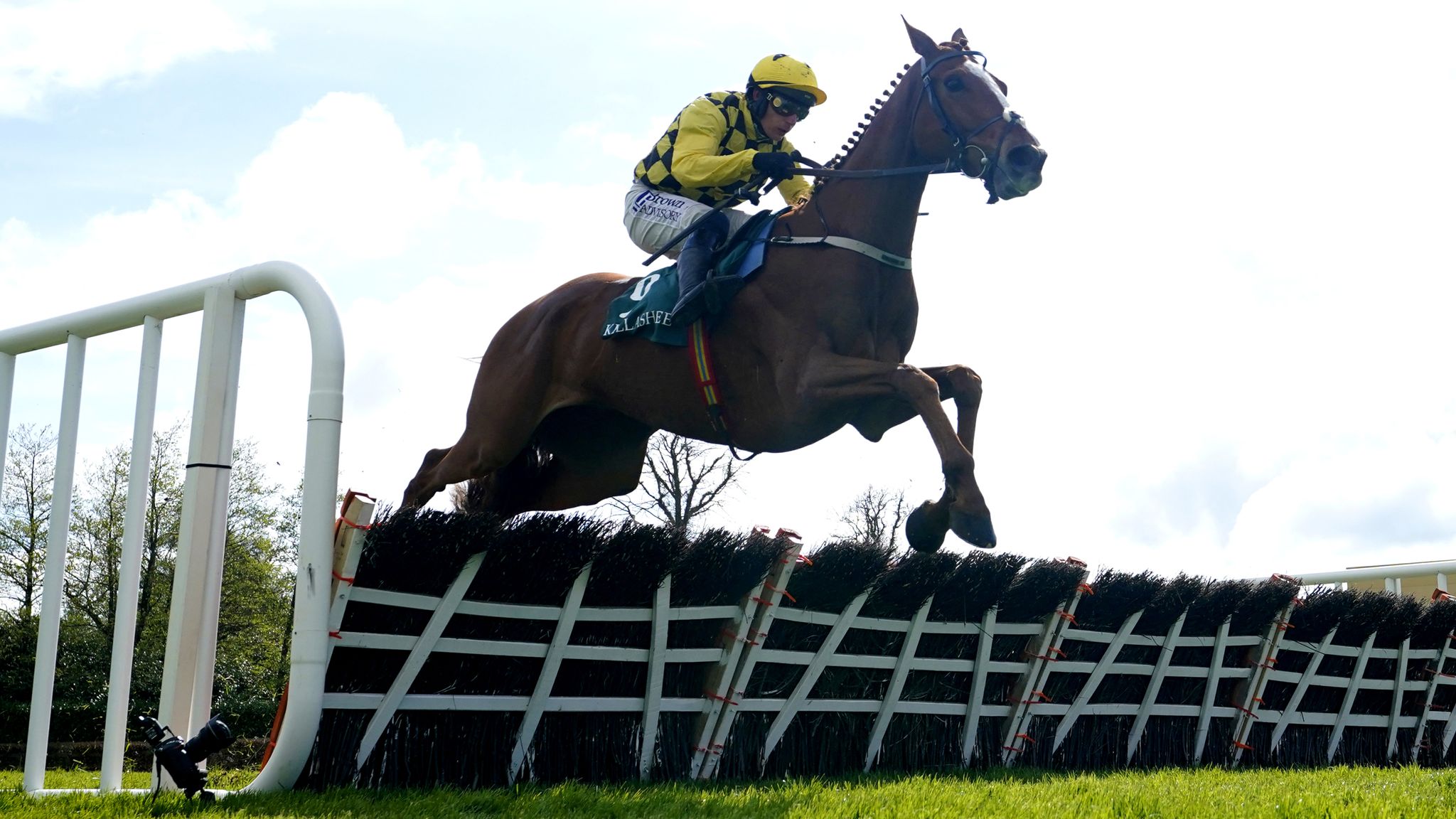 Today on Sky Sports Racing: Willie Mullins fields four in Sussex ...