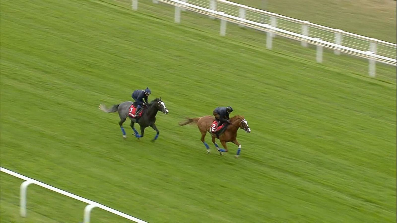 Derby preview: Jamie Lynch’s full runner guide and expert verdict to ...