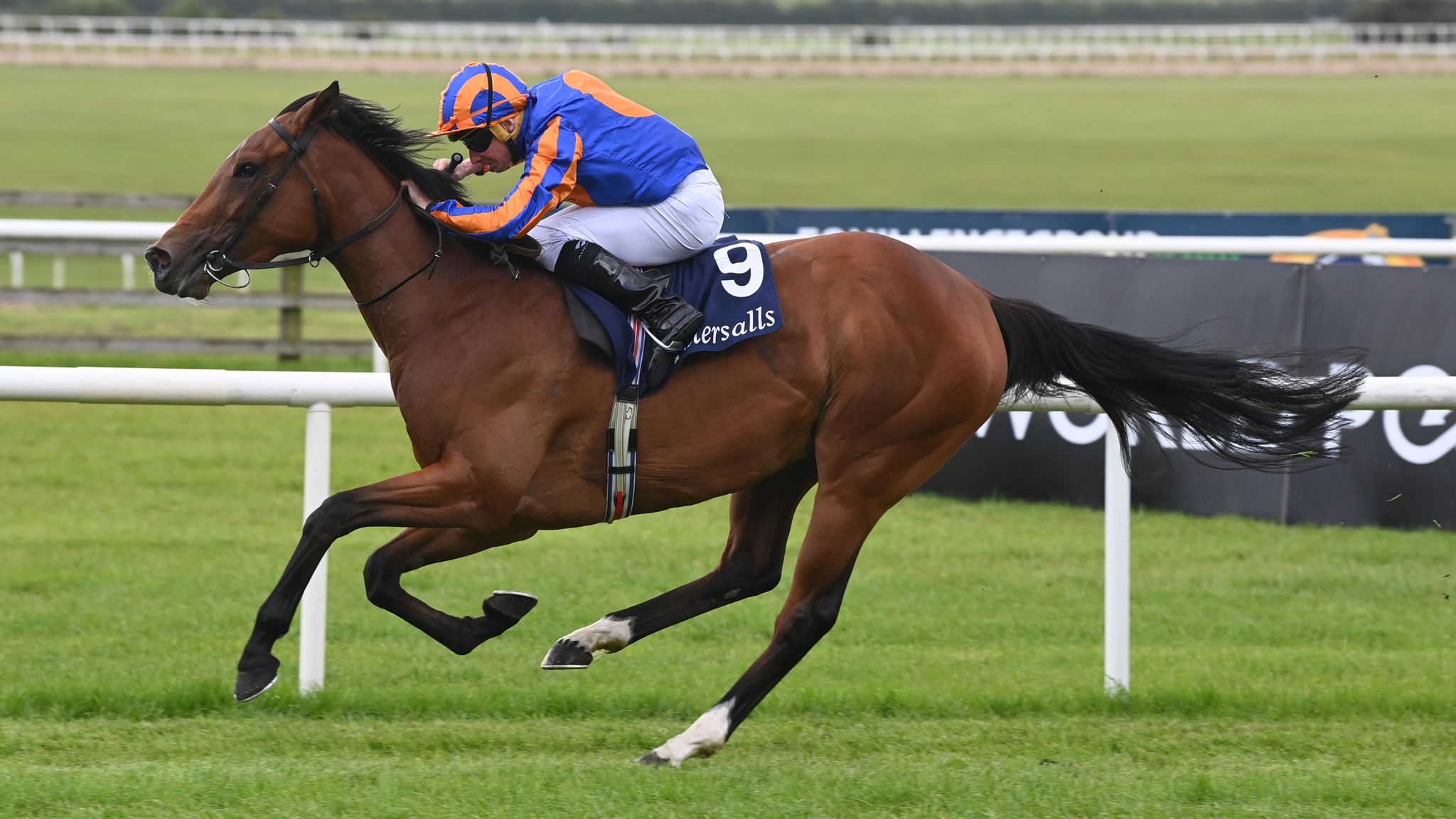 Lake Victoria blitzes the Irish 1,000 Guineas field with a special ...