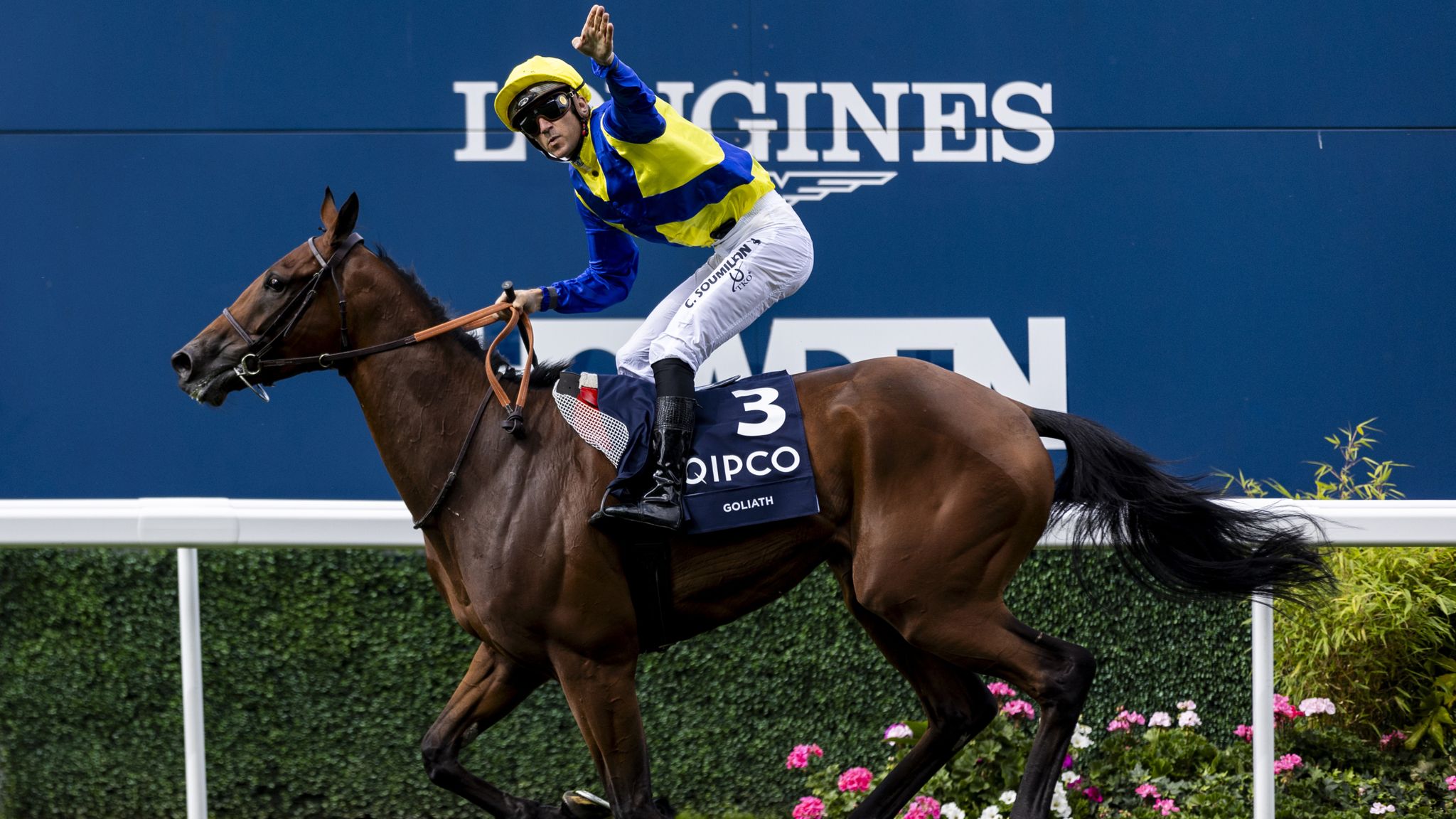 Today on Sky Sports Racing: Goliath faces Calandagan in Grand Prix de ...