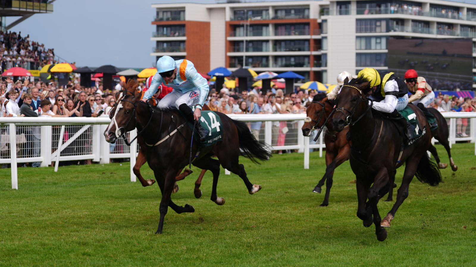 Anthelia comes out on top in Super Sprint thriller at Newbury ahead of ...