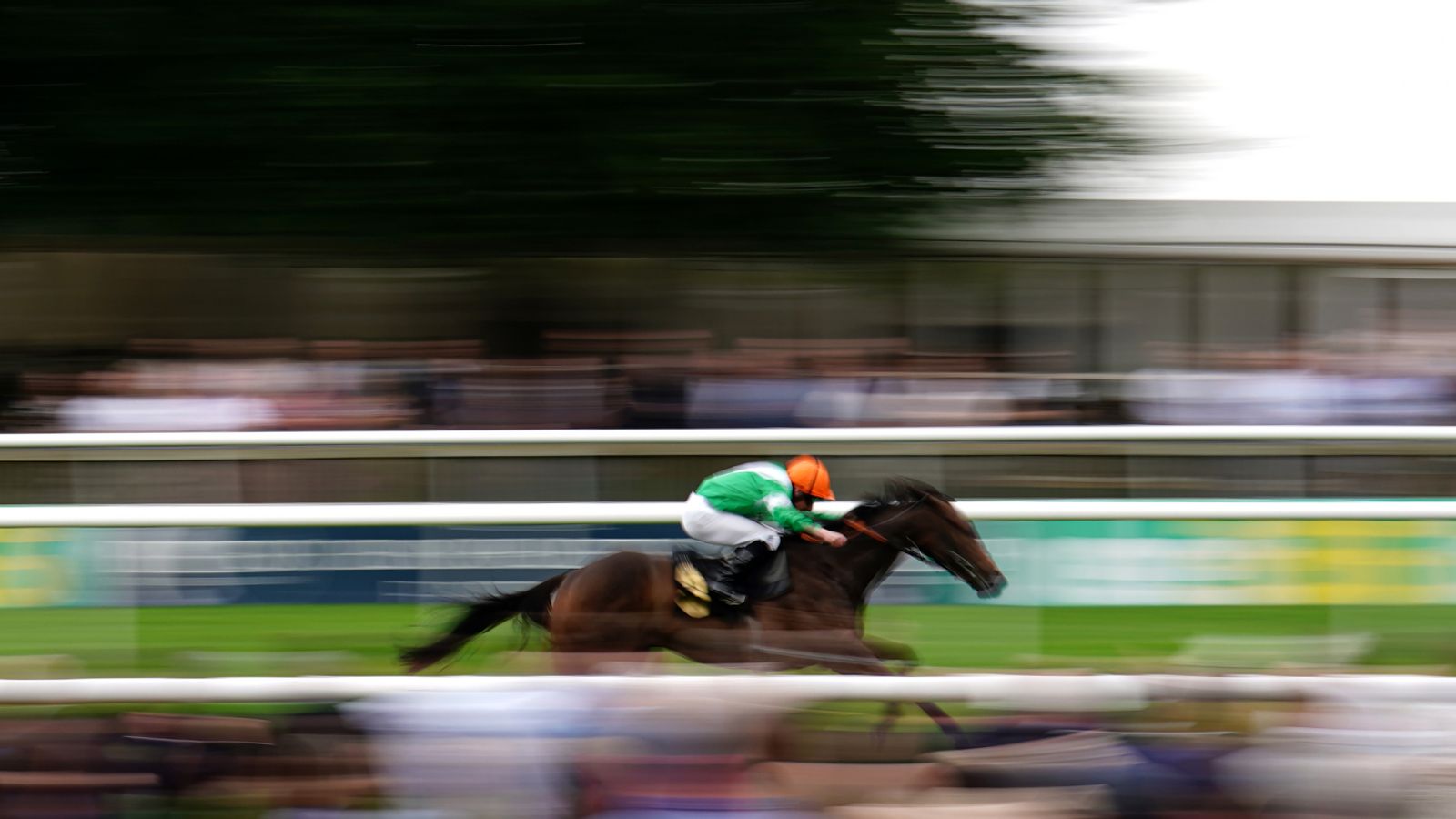 Newmarket tips: No Half Measures fancied to upset the applecart in July ...