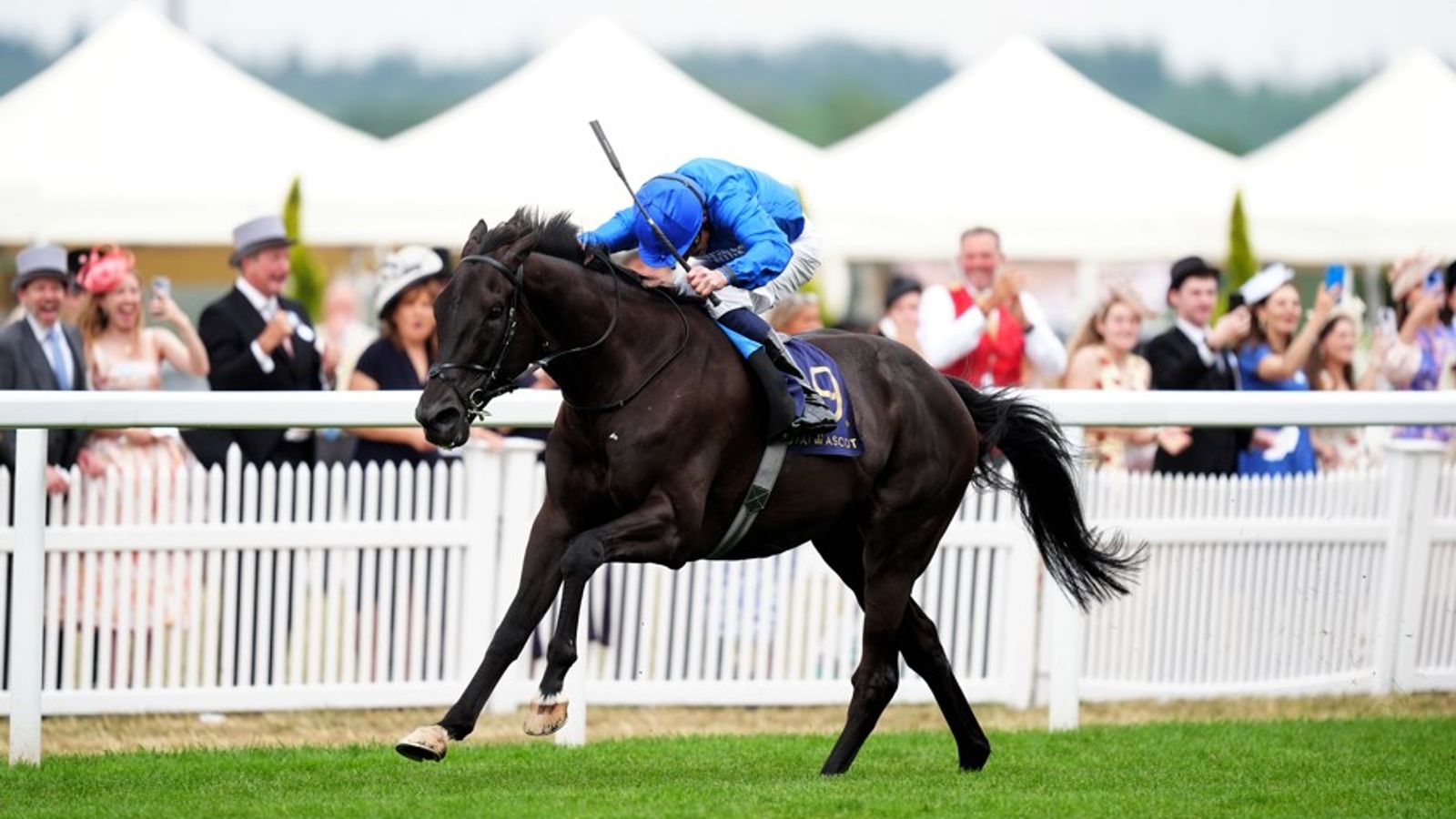 Today on Sky Sports Racing: Another Baar seeks five-timer in Ripon ...