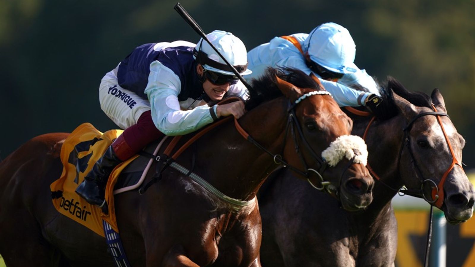 Hollie Doyle's exclusive blog: Havana Hurricane can cause a storm in ...