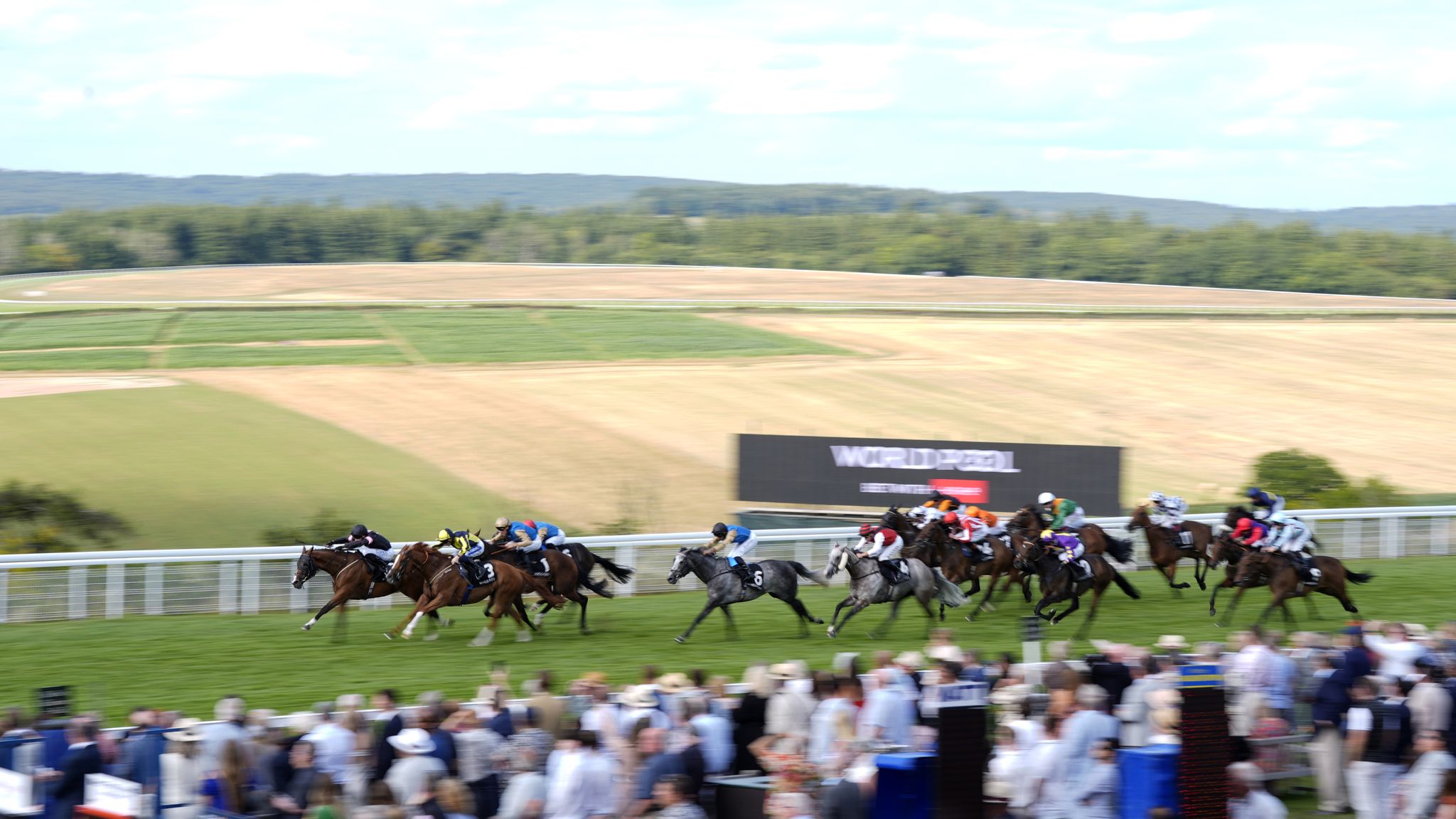 Goodwood: Five jockeys miss rides after light aircraft drama | Racing ...