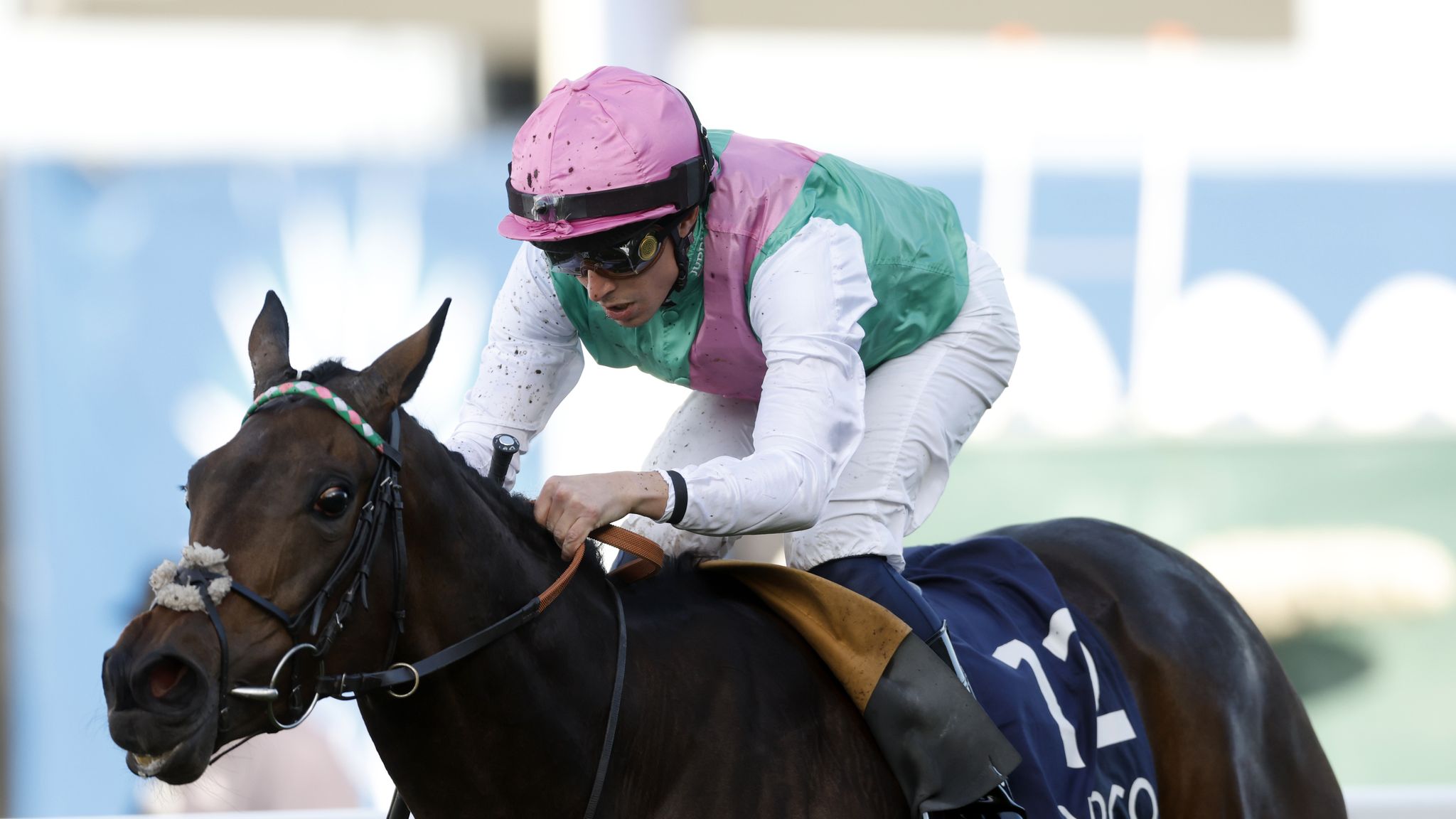 Today on Sky Sports Racing: Blockbuster Champion Stakes headlines ...