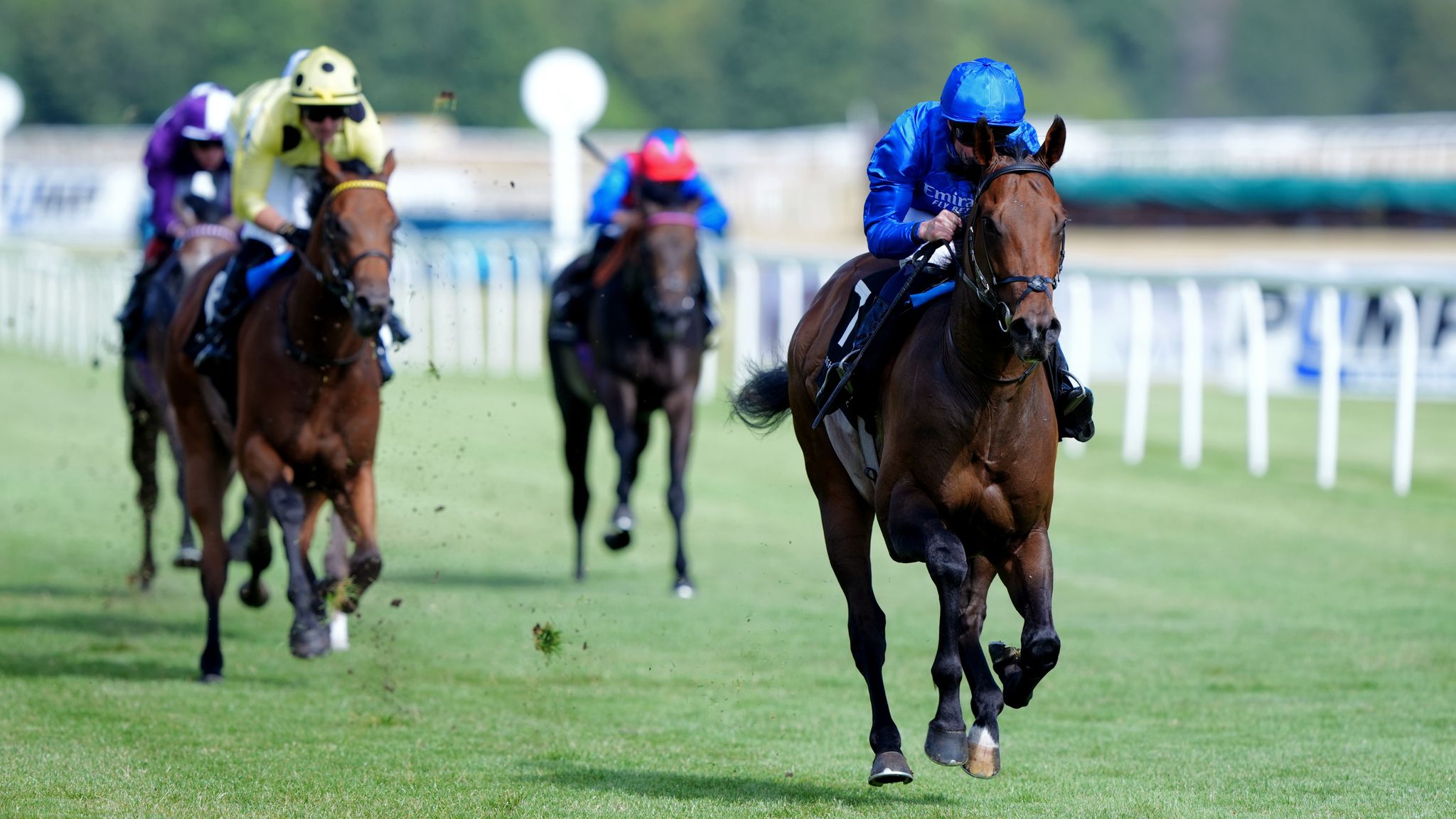 Hollie Doyle's exclusive blog: Wise Approach and America Queen can ...